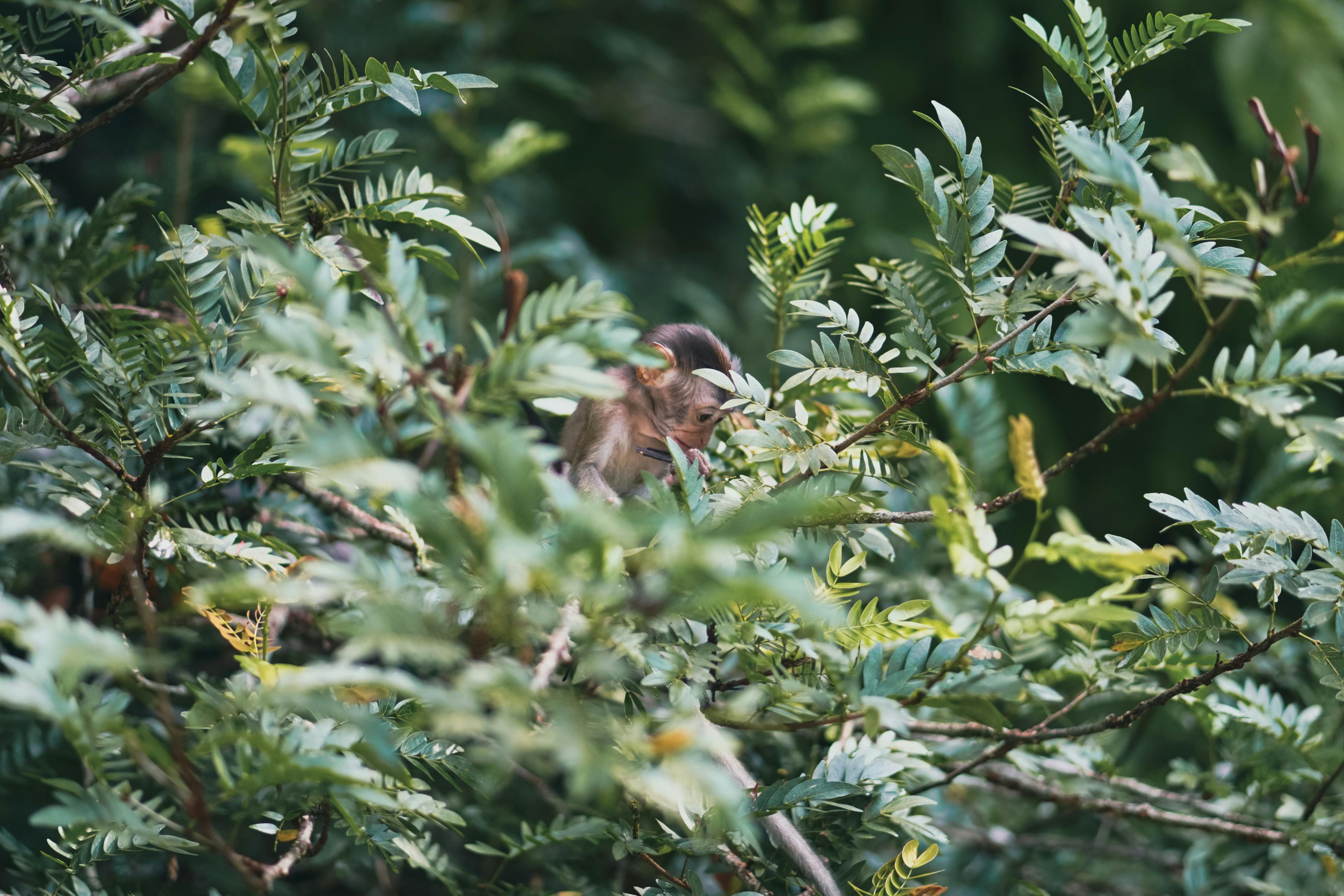 Nimalan Sugumaran - Photography