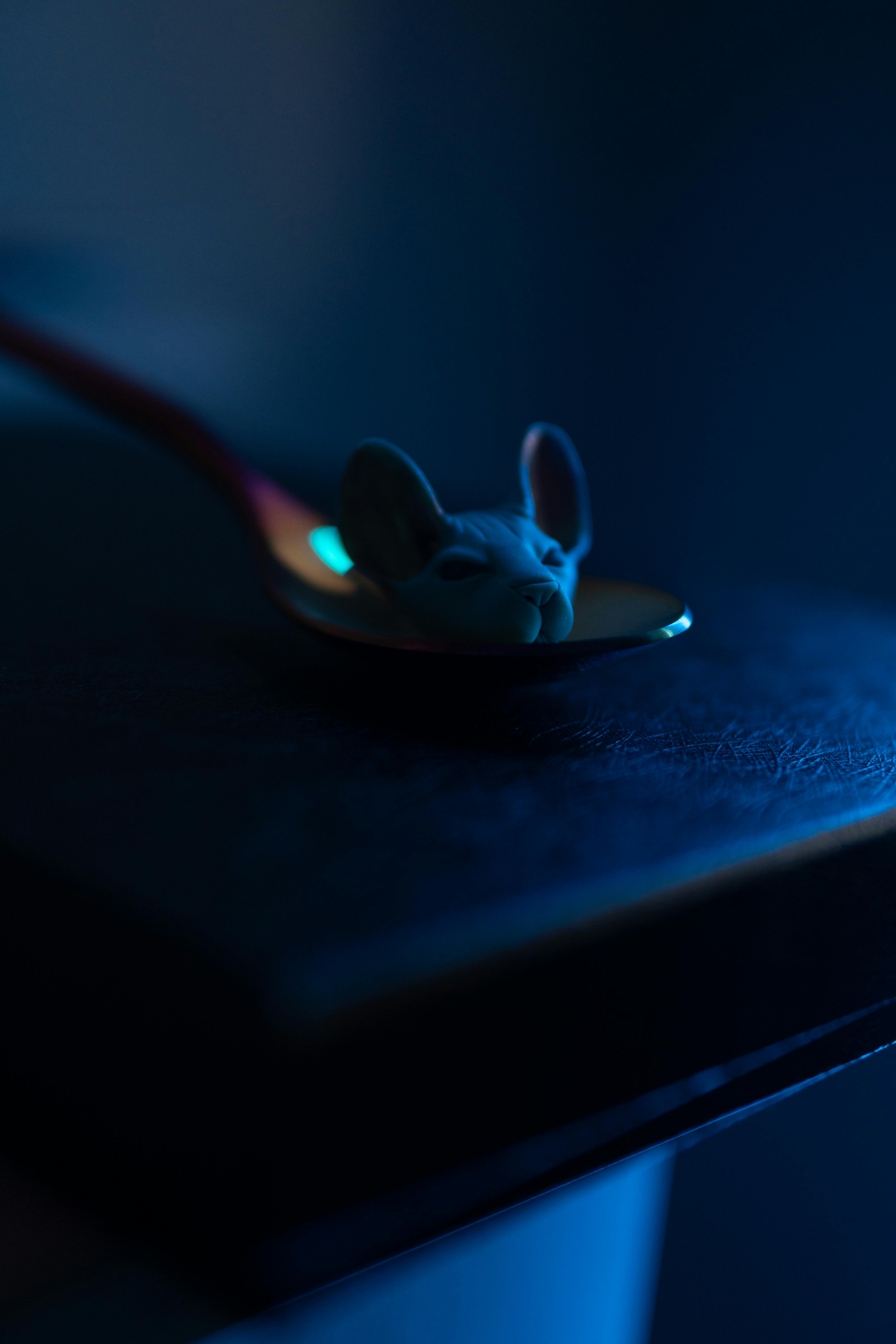 Animated Spoon Photos, Download The BEST Free Animated Spoon Stock ...