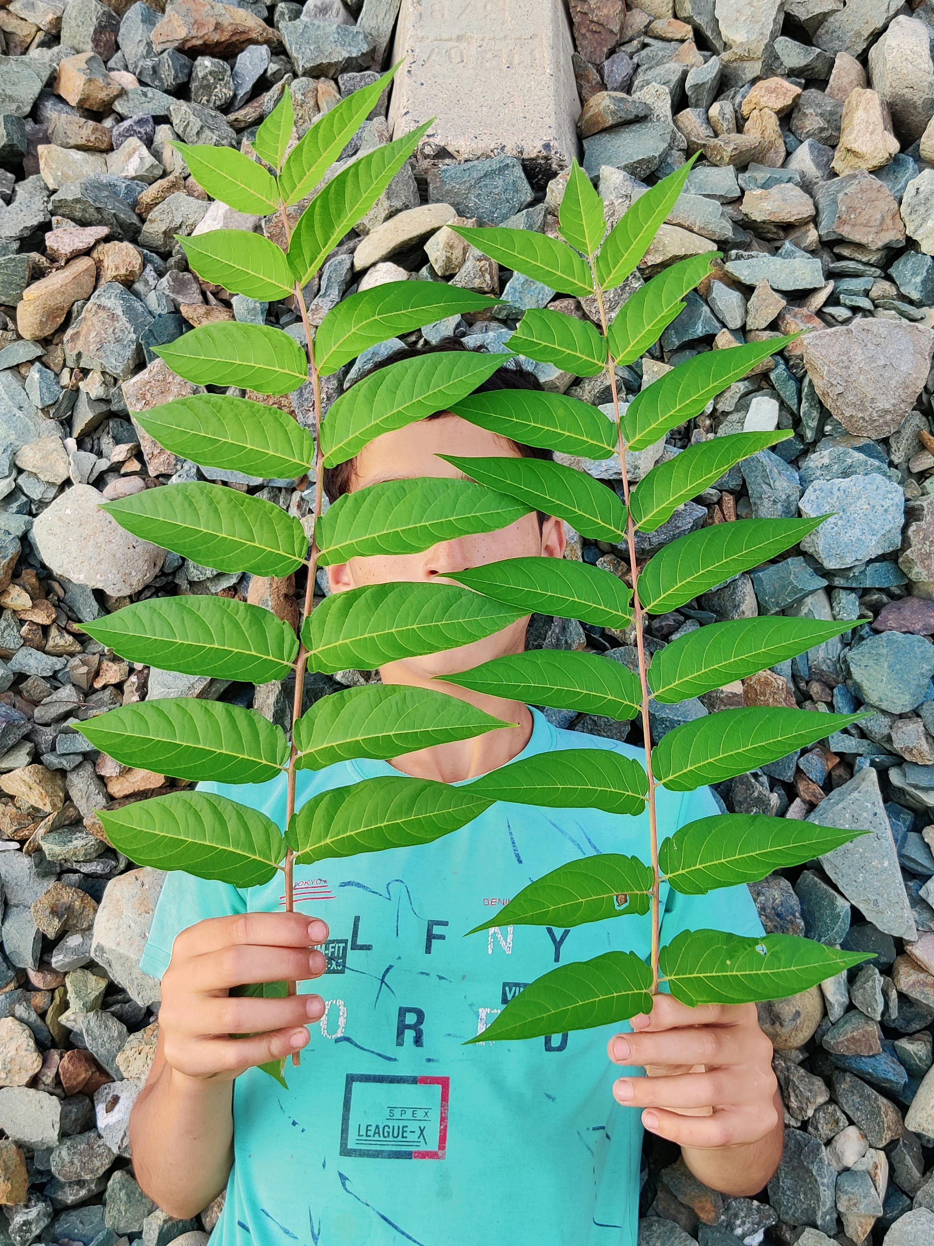 Mountain Peak and Town · Free Stock Photo