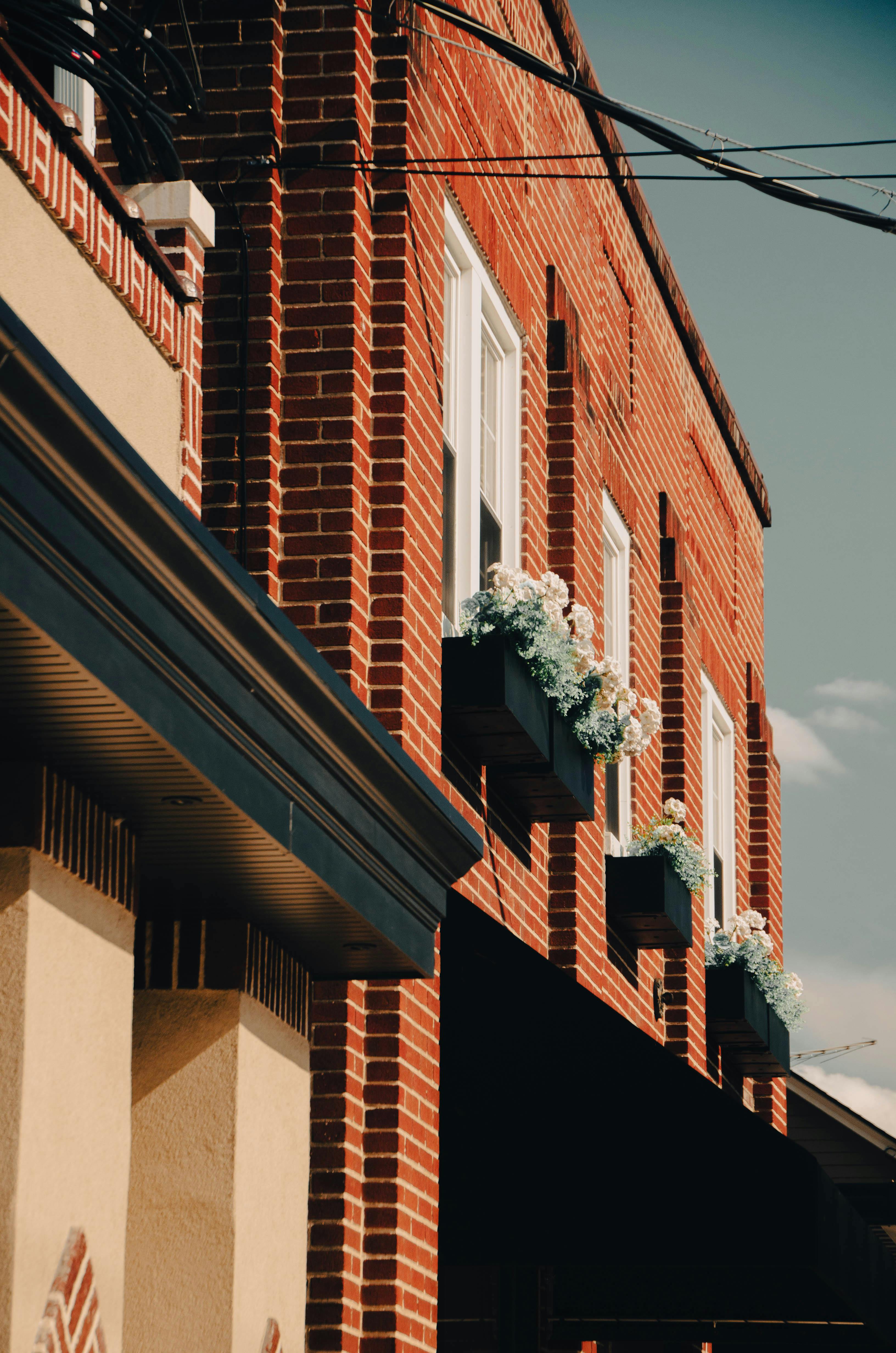 Plant Boxes Photos, Download The BEST Free Plant Boxes Stock Photos ...