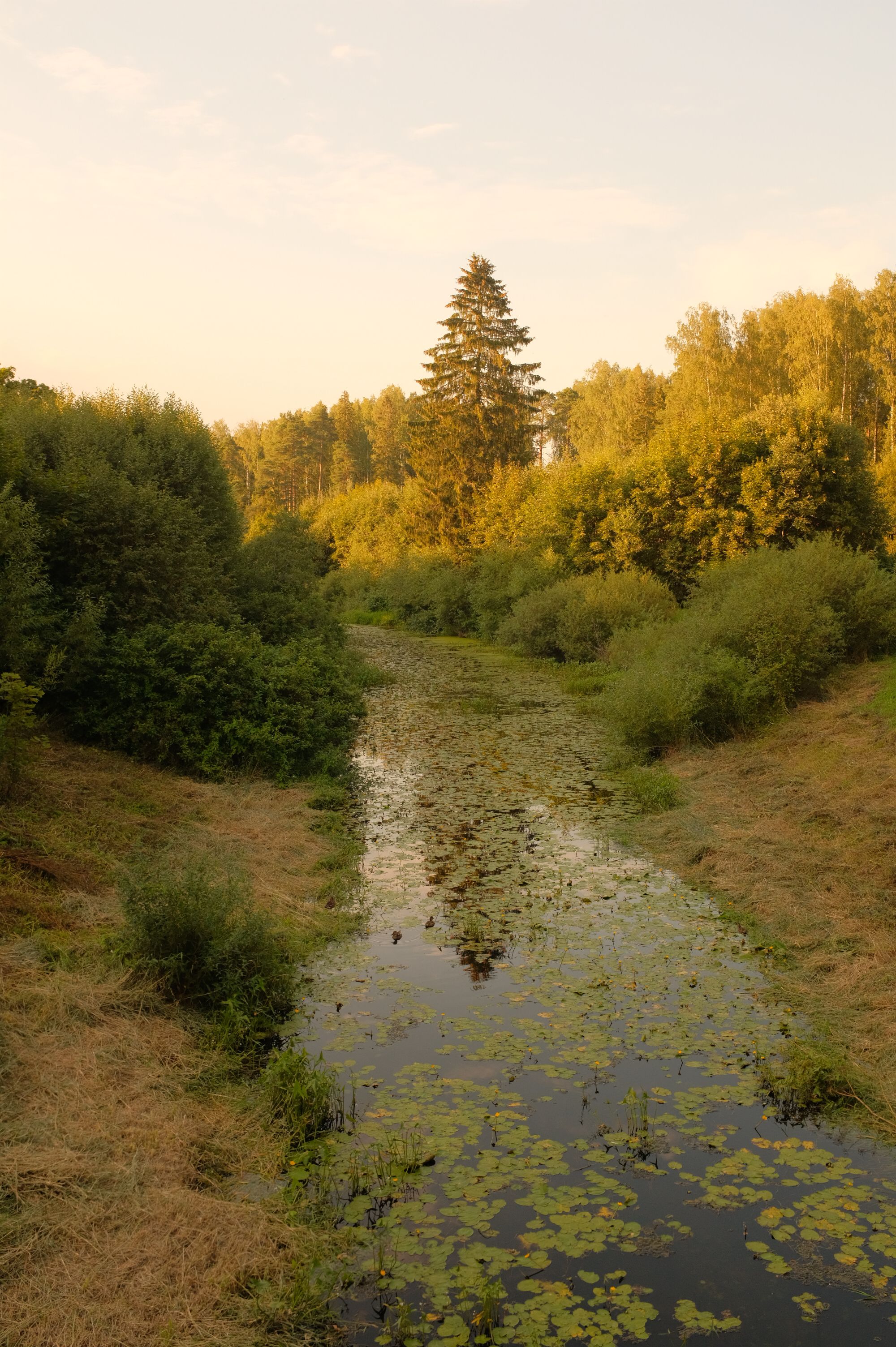A Lake Between Green Grass Field · Free Stock Photo