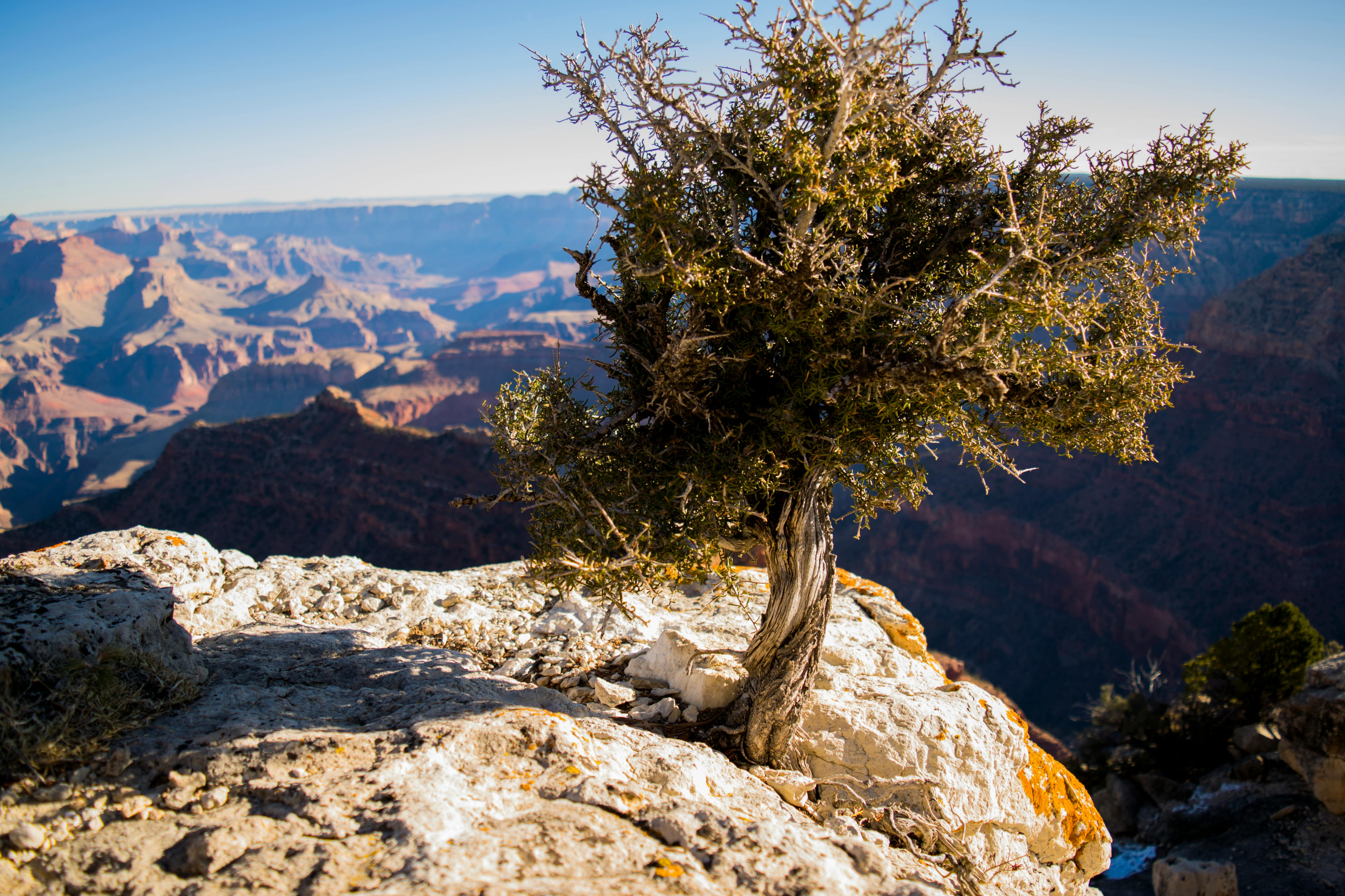 Scenic View of Rock Formation · Free Stock Photo