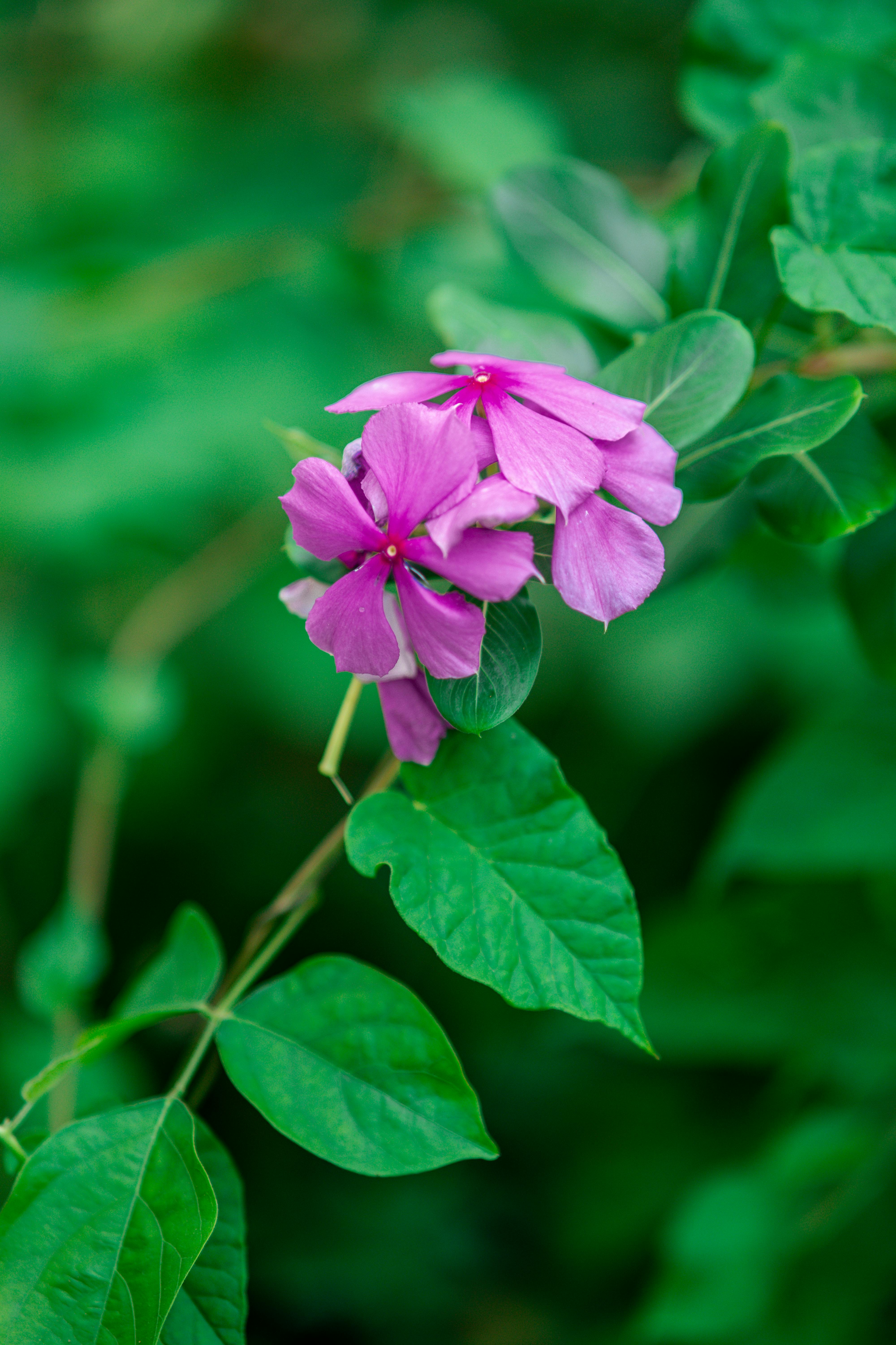 THX NiCk - Photography