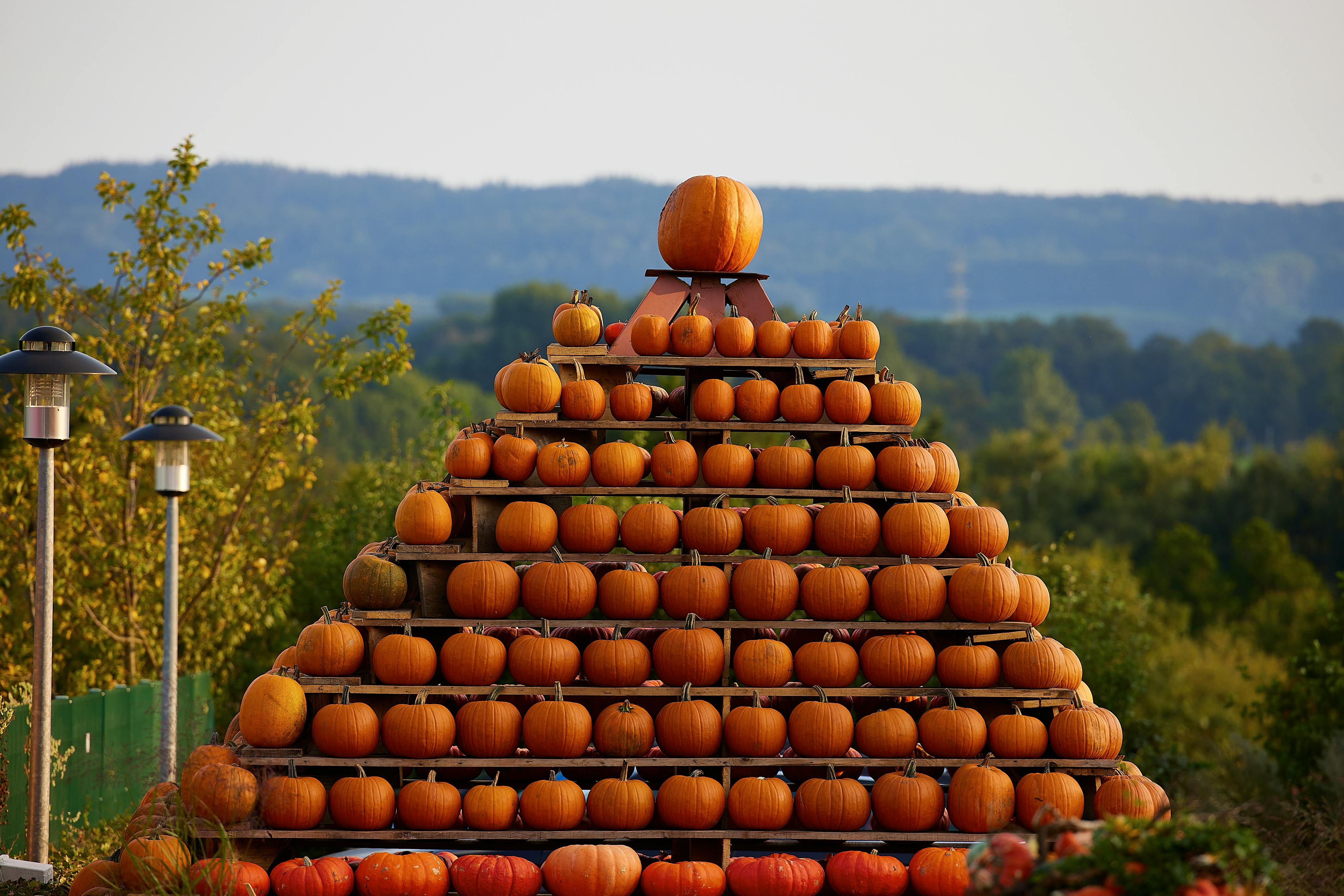 Beautiful Pumpkin Pyramid · Free Stock Photo