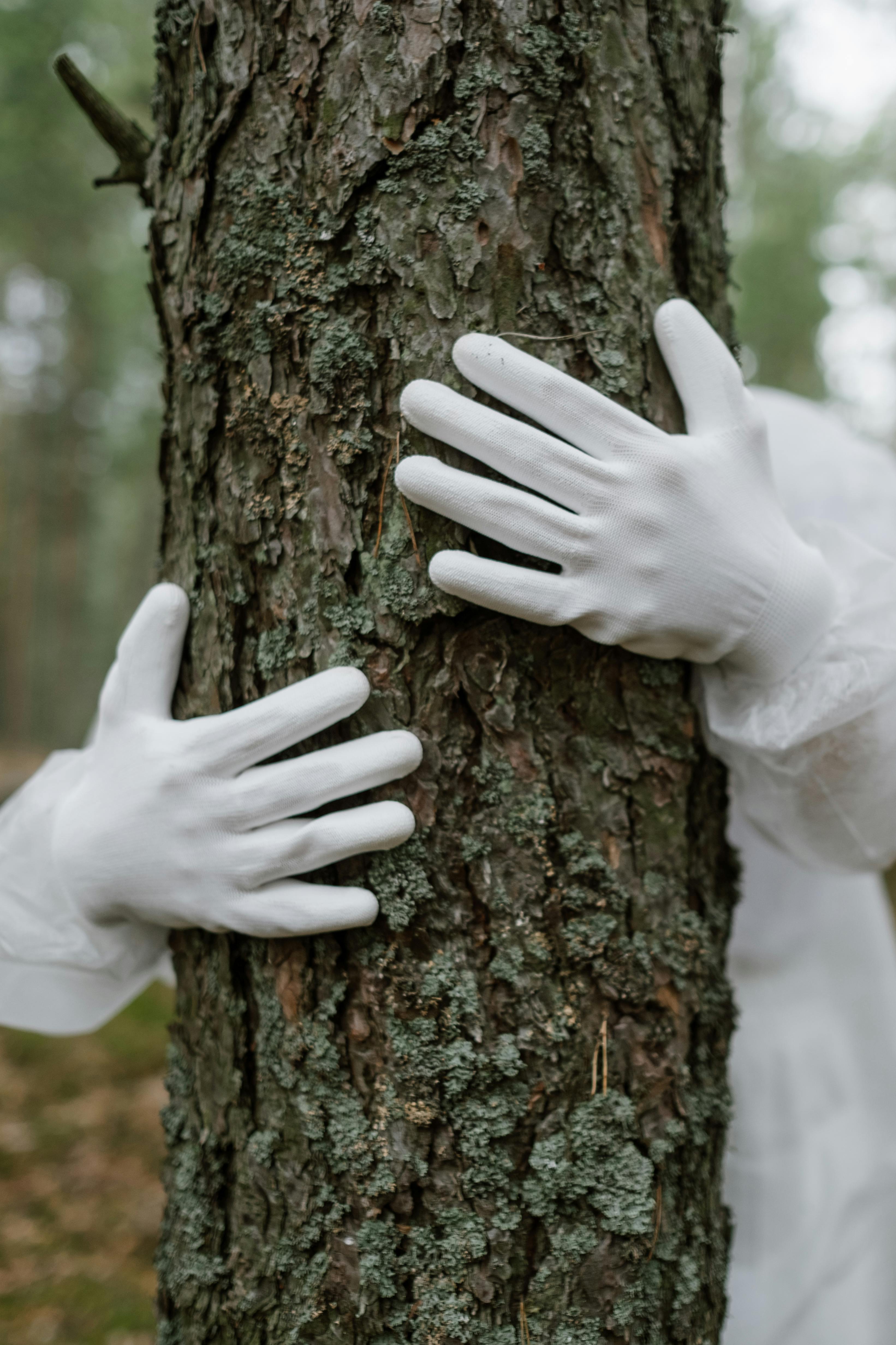 Person's Hand on Tree Trunk · Free Stock Photo