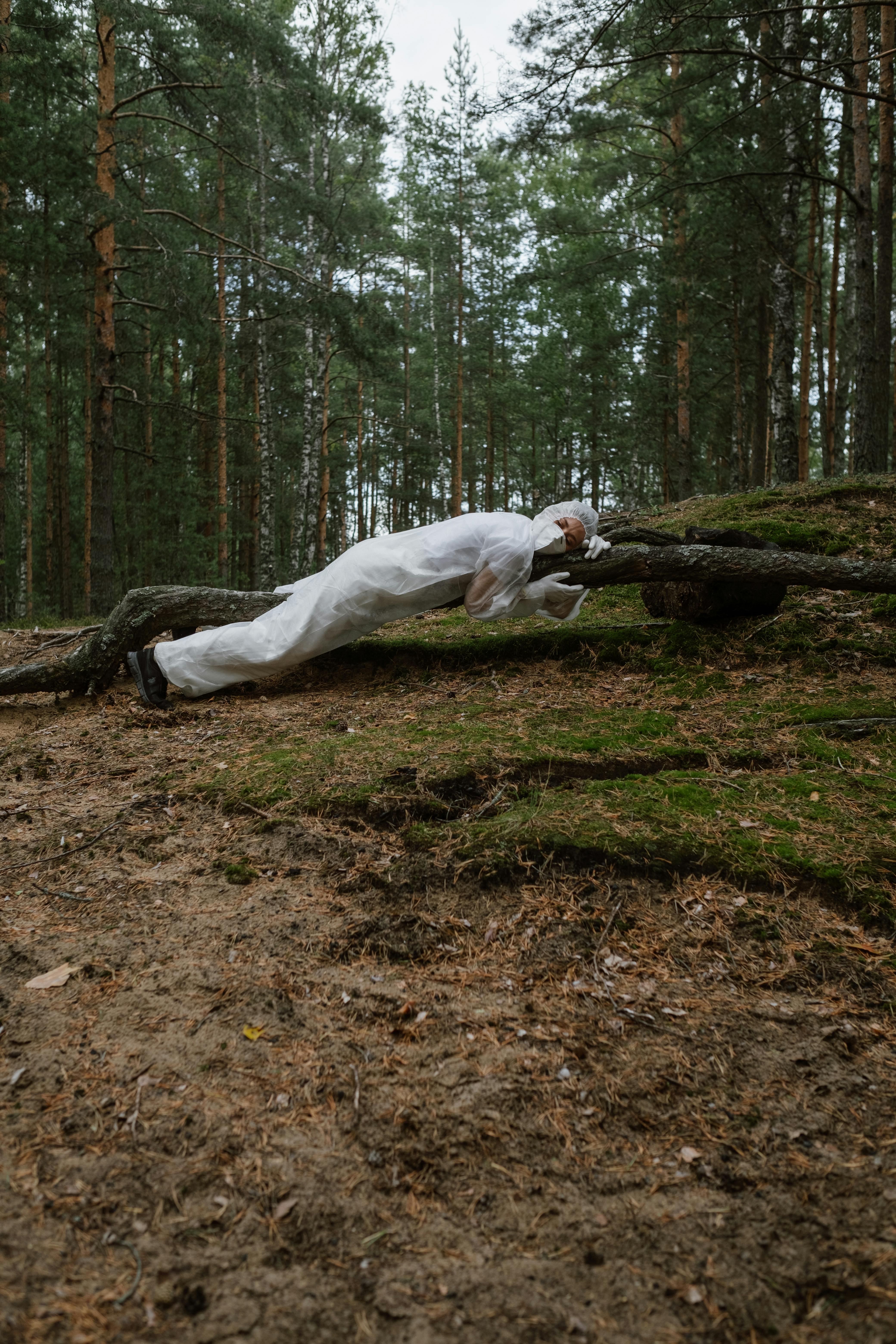 A Person Dropping Down on a Tree Log · Free Stock Photo