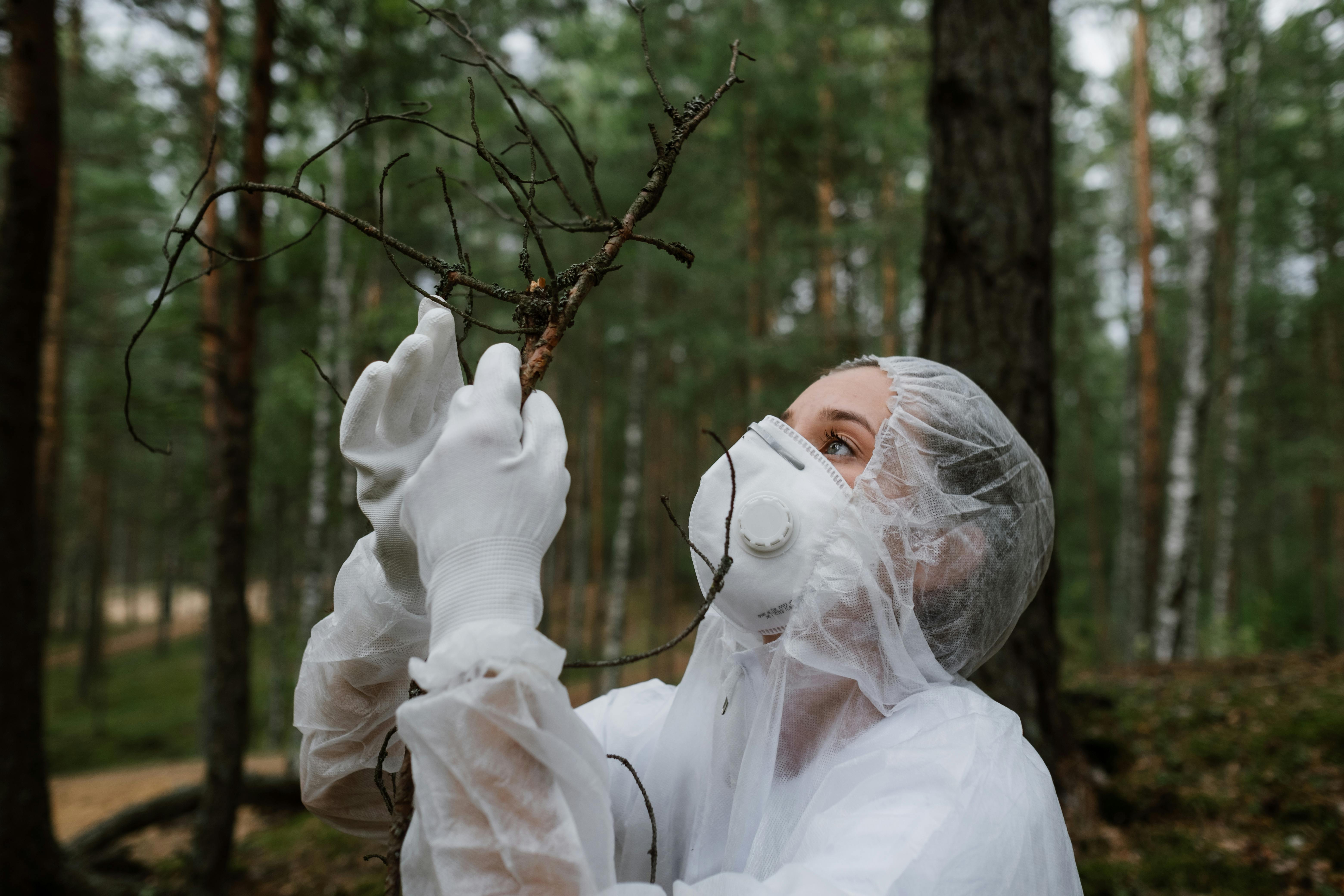 A Woman Wearing Personal Protective Equipment Holding a Tree Branch ...