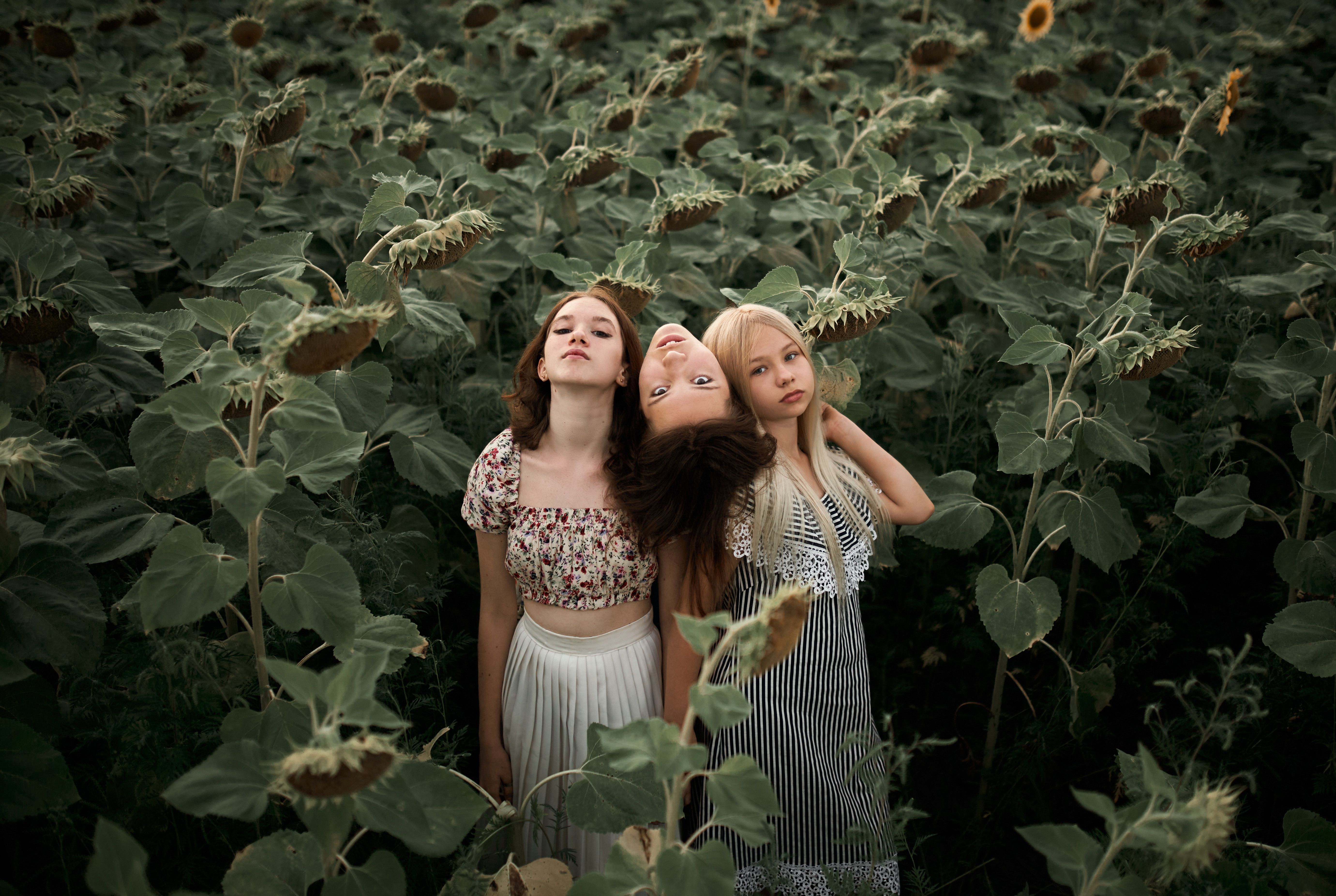 Three Young Women Standing in a Sunflower Field · Free Stock Photo