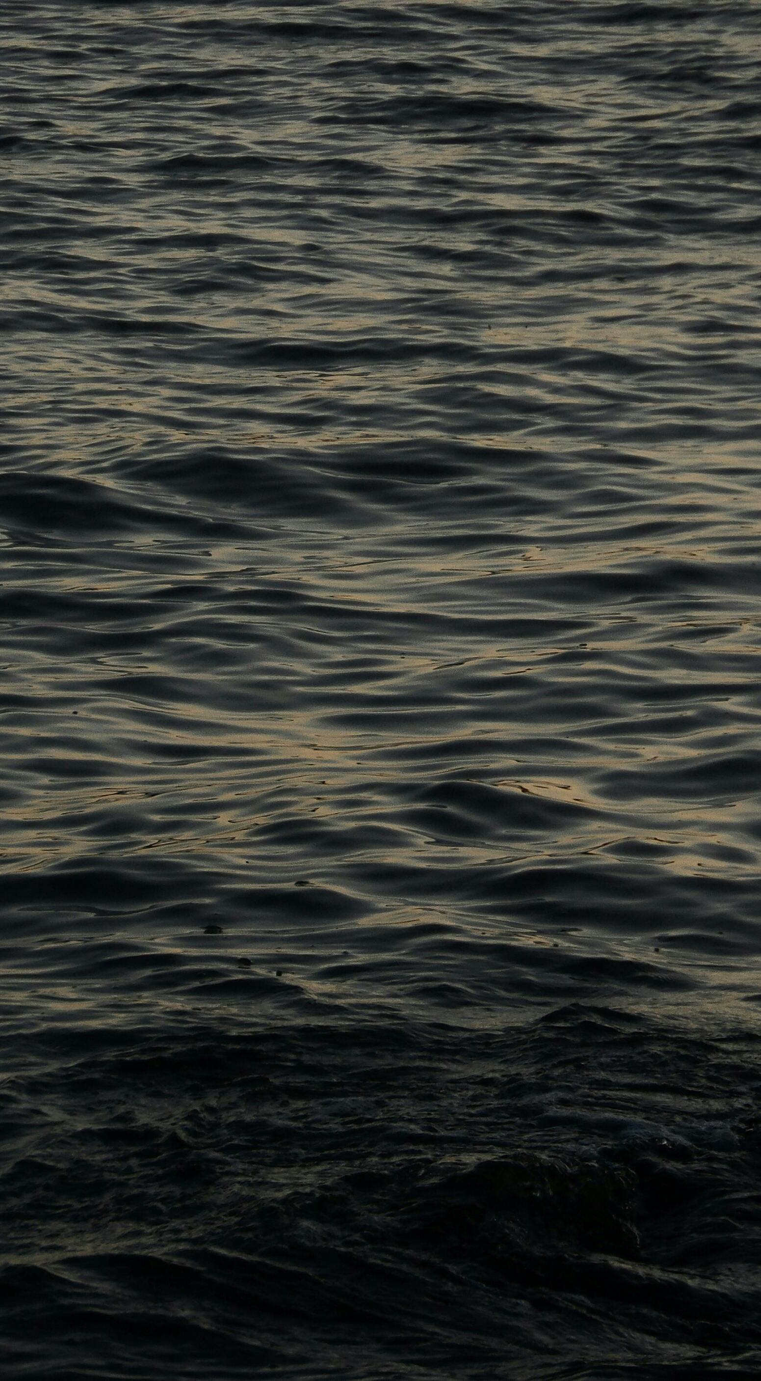 Grayscale Photography of Sea Waves Lapping on Shore · Free Stock Photo