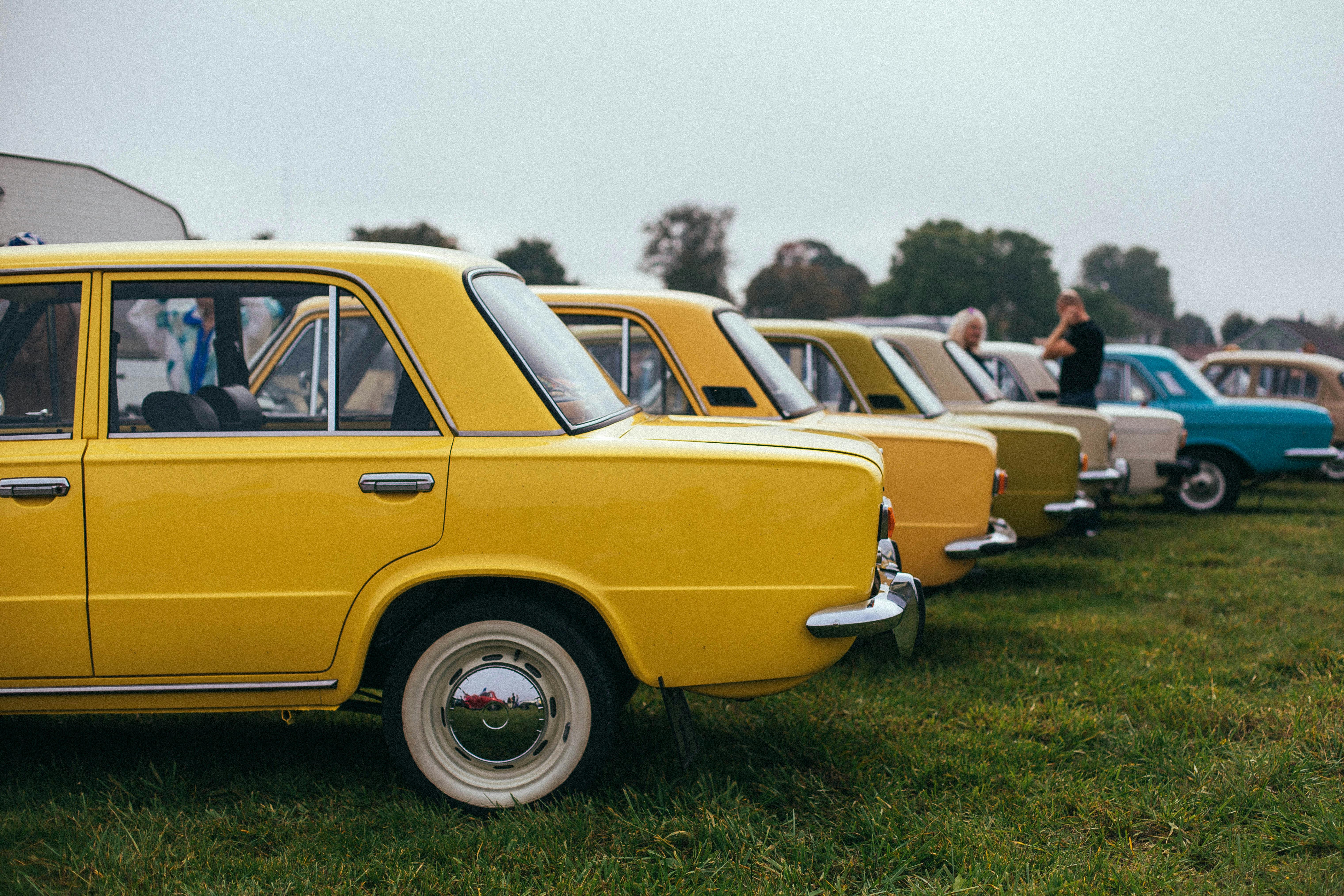Vintage Cars in a Grass Field · Free Stock Photo