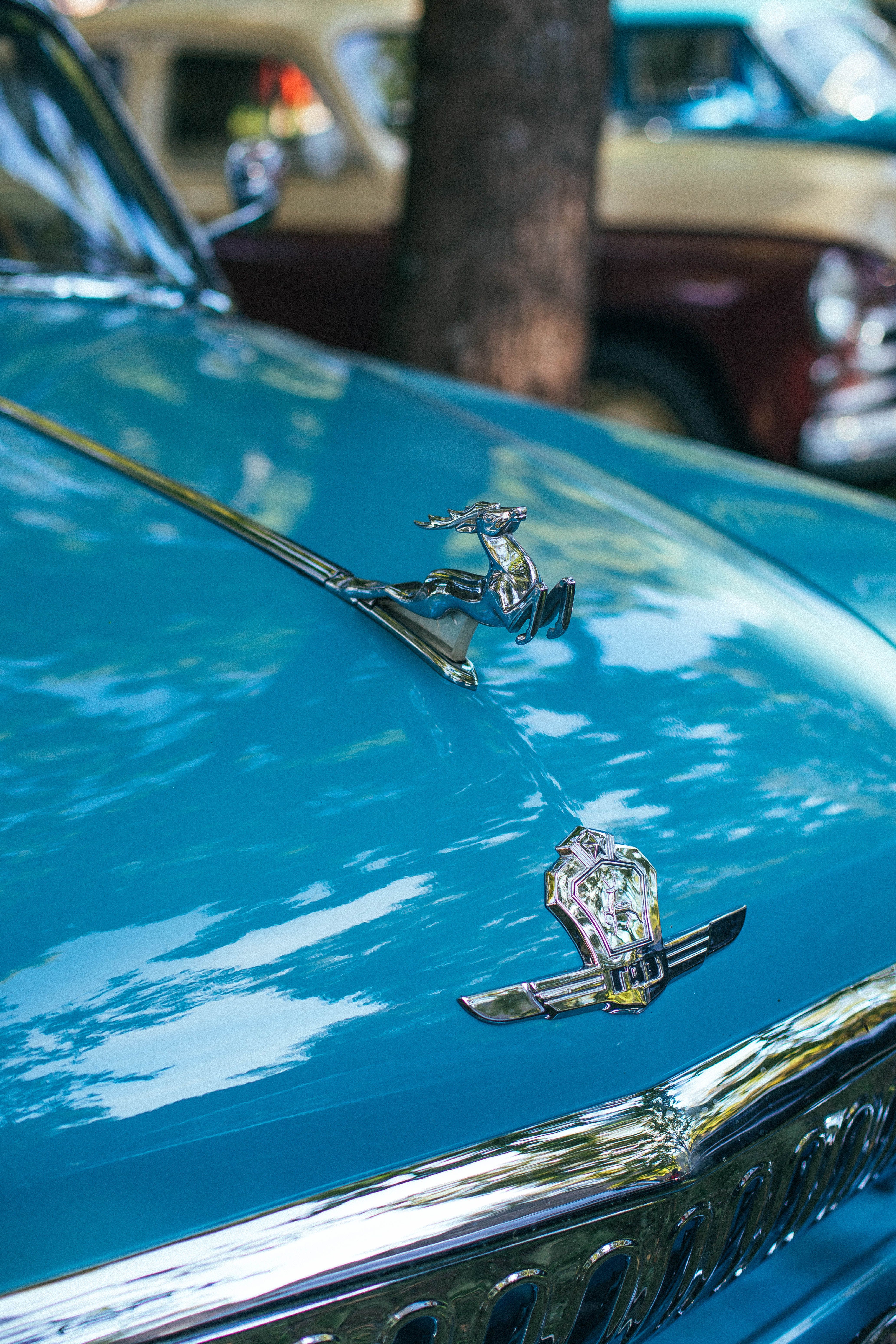 Emblem of a Blue Classic Car · Free Stock Photo