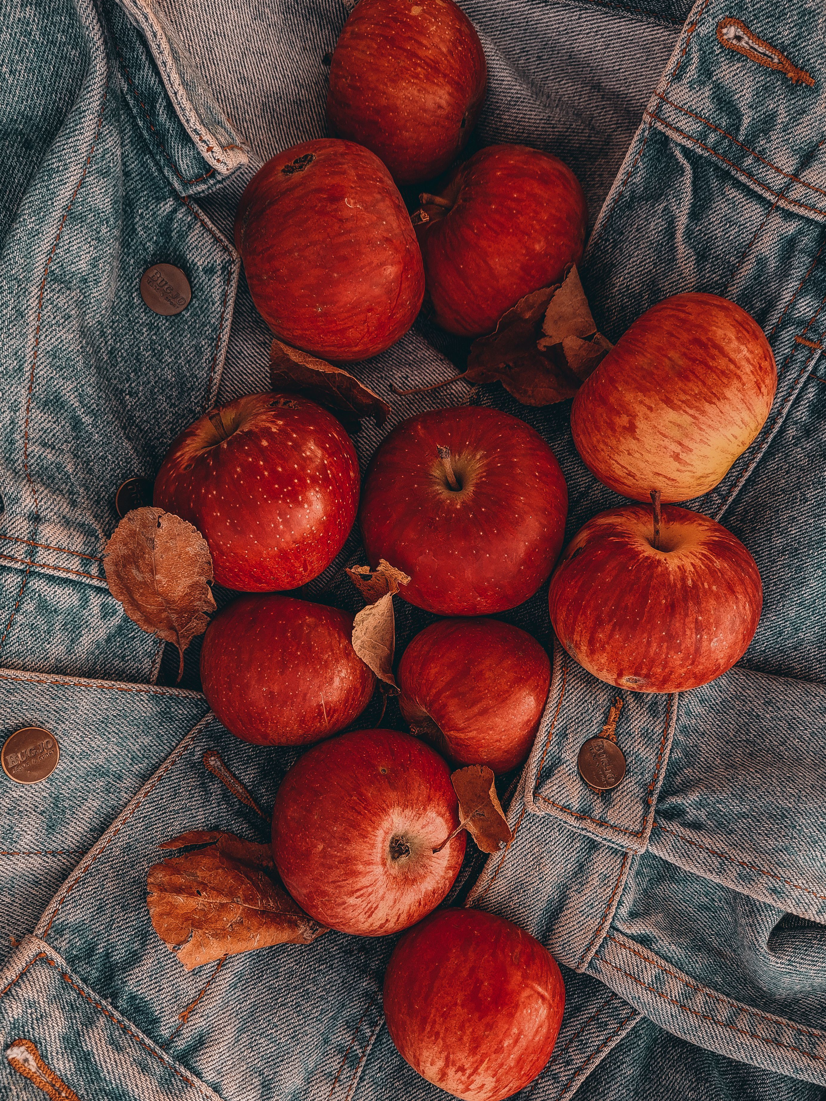 Red Apples on Denim Jacket · Free Stock Photo
