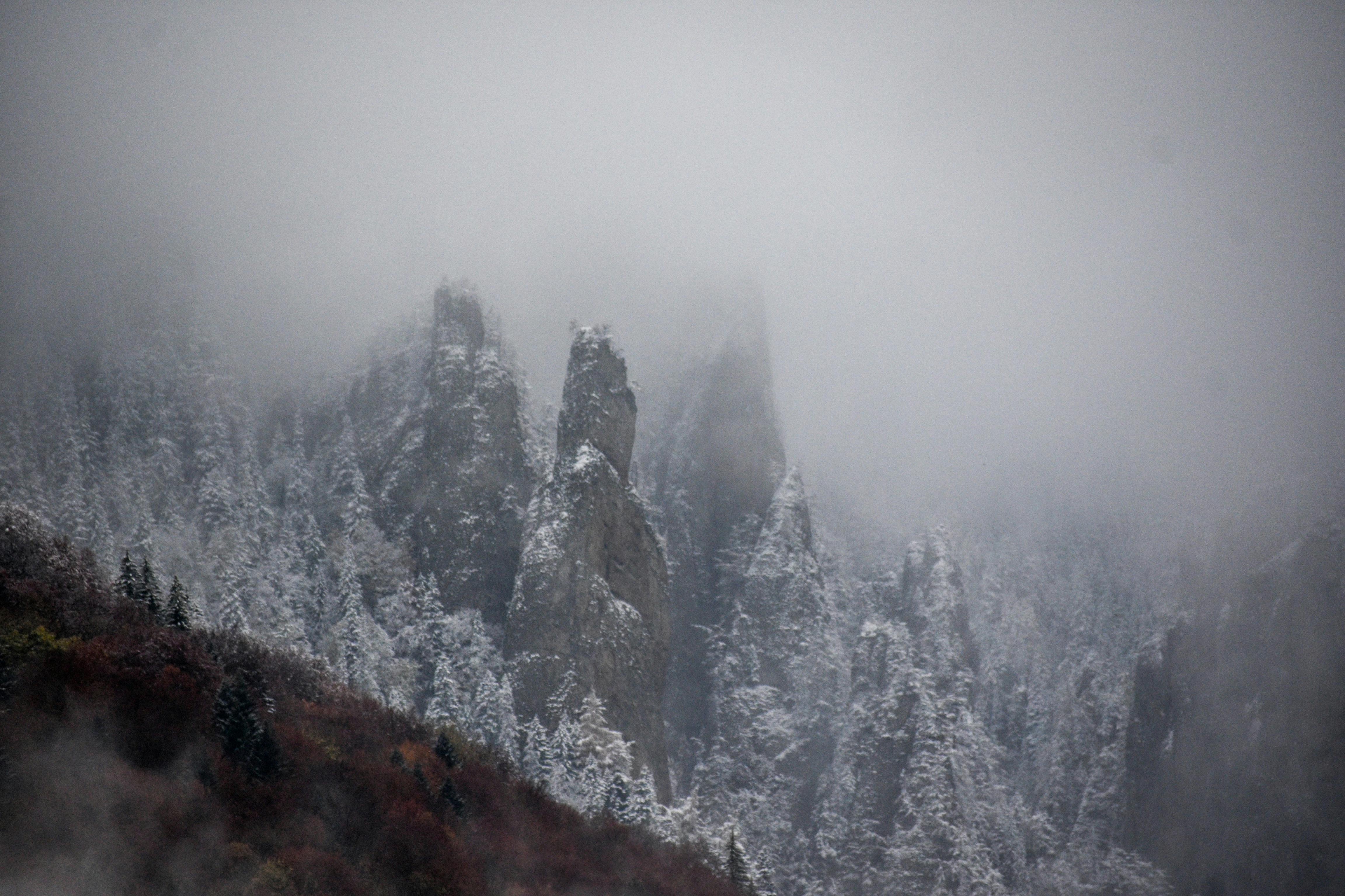 160,214+ Best Free Scenic view Stock Photos & Images · 100% Royalty ...