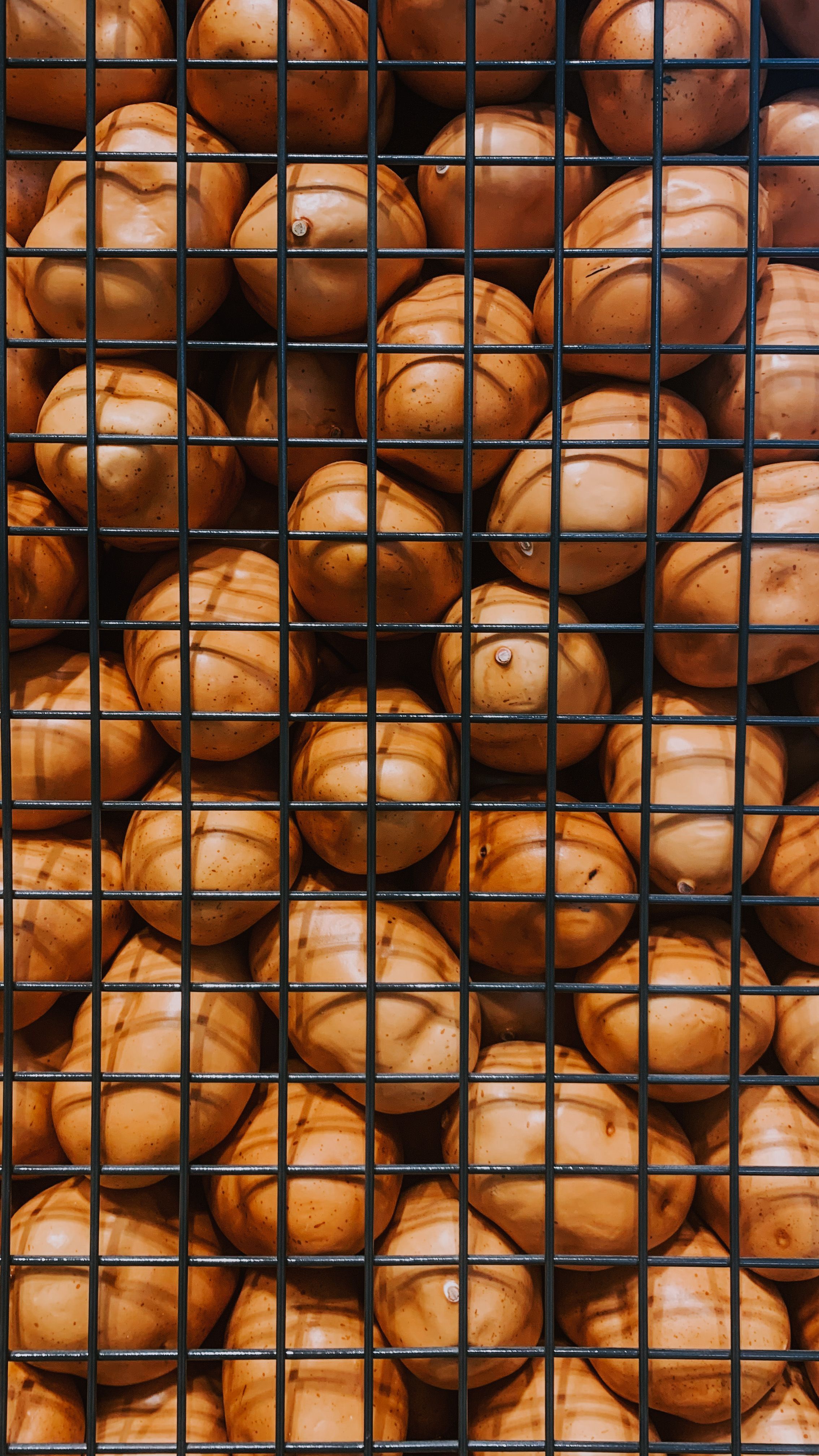 Photo of Potatoes Behind a Mesh · Free Stock Photo
