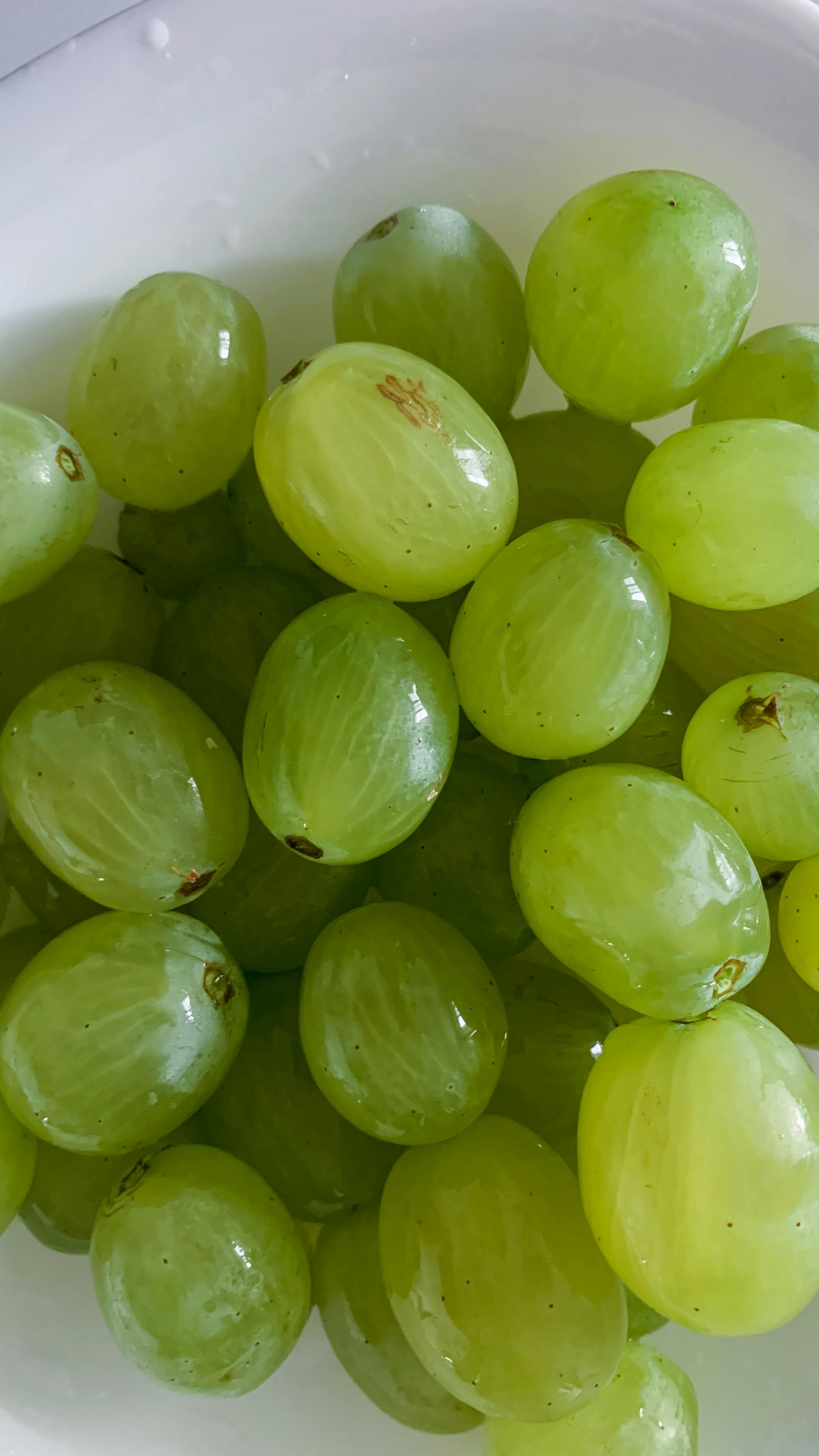 Green Round Fruits Hanging on Tree Branch · Free Stock Photo