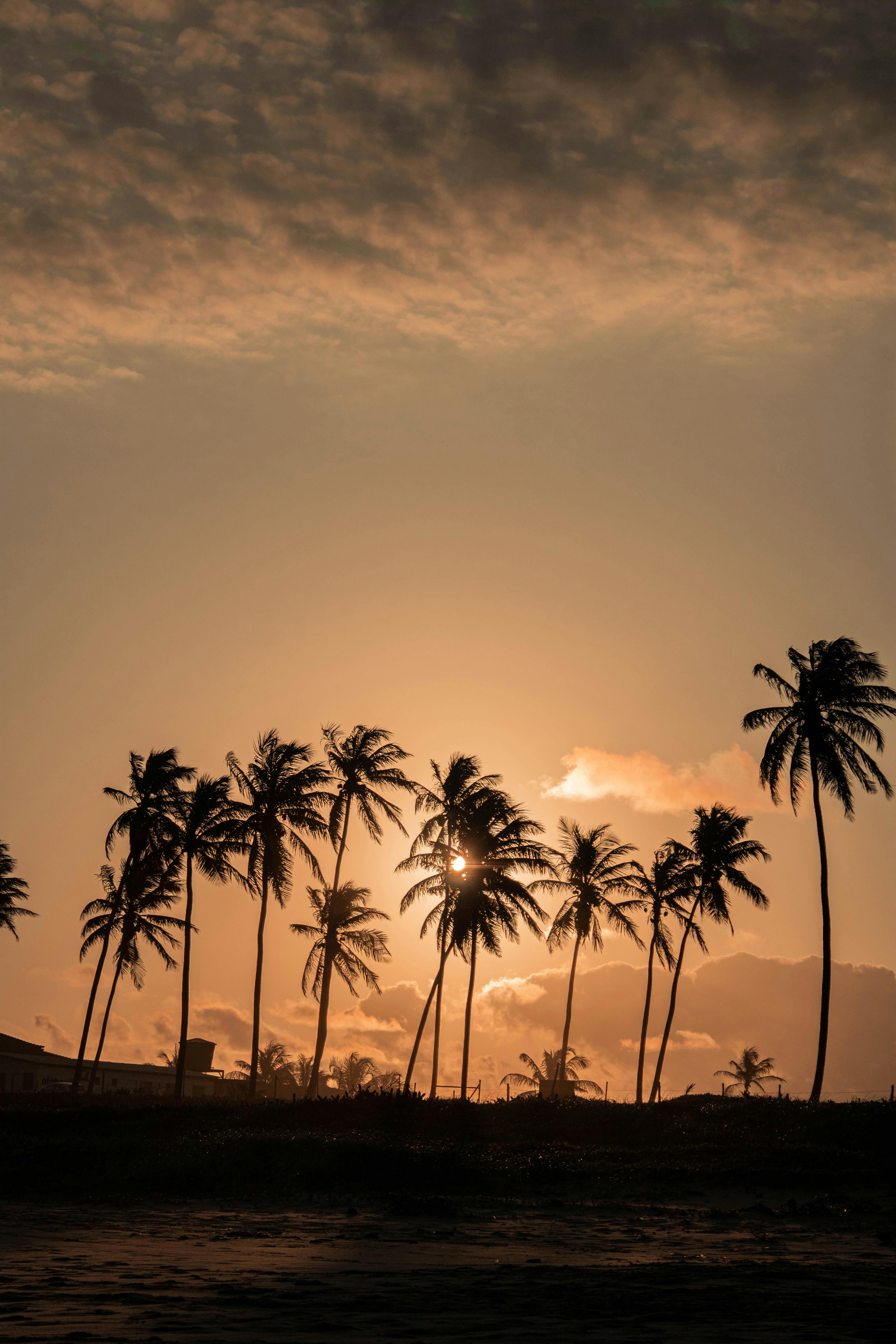 Oasis Photos, Download The BEST Free Oasis Stock Photos & HD Images