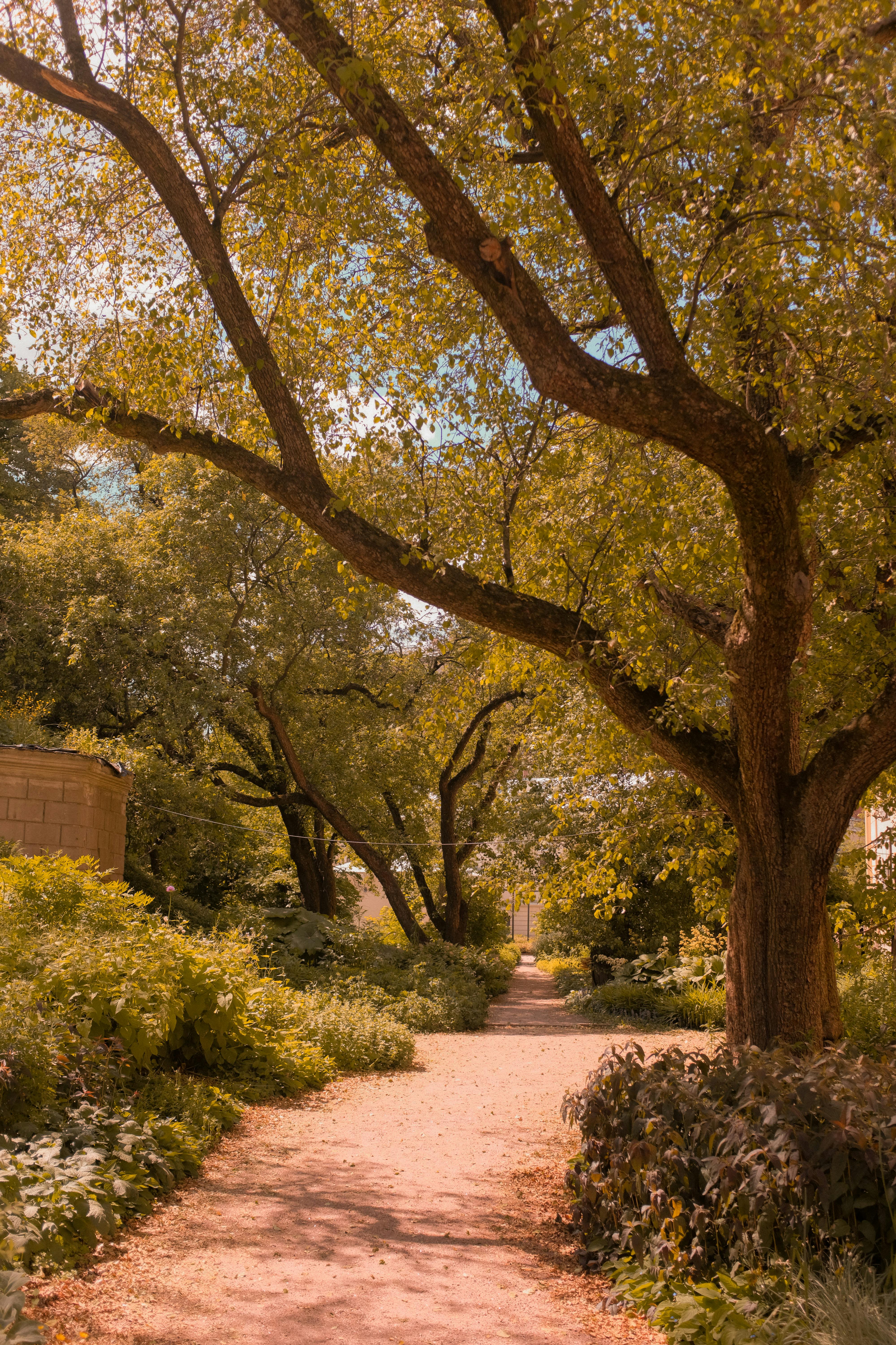 Unpaved Walkway in the Garden Park · Free Stock Photo