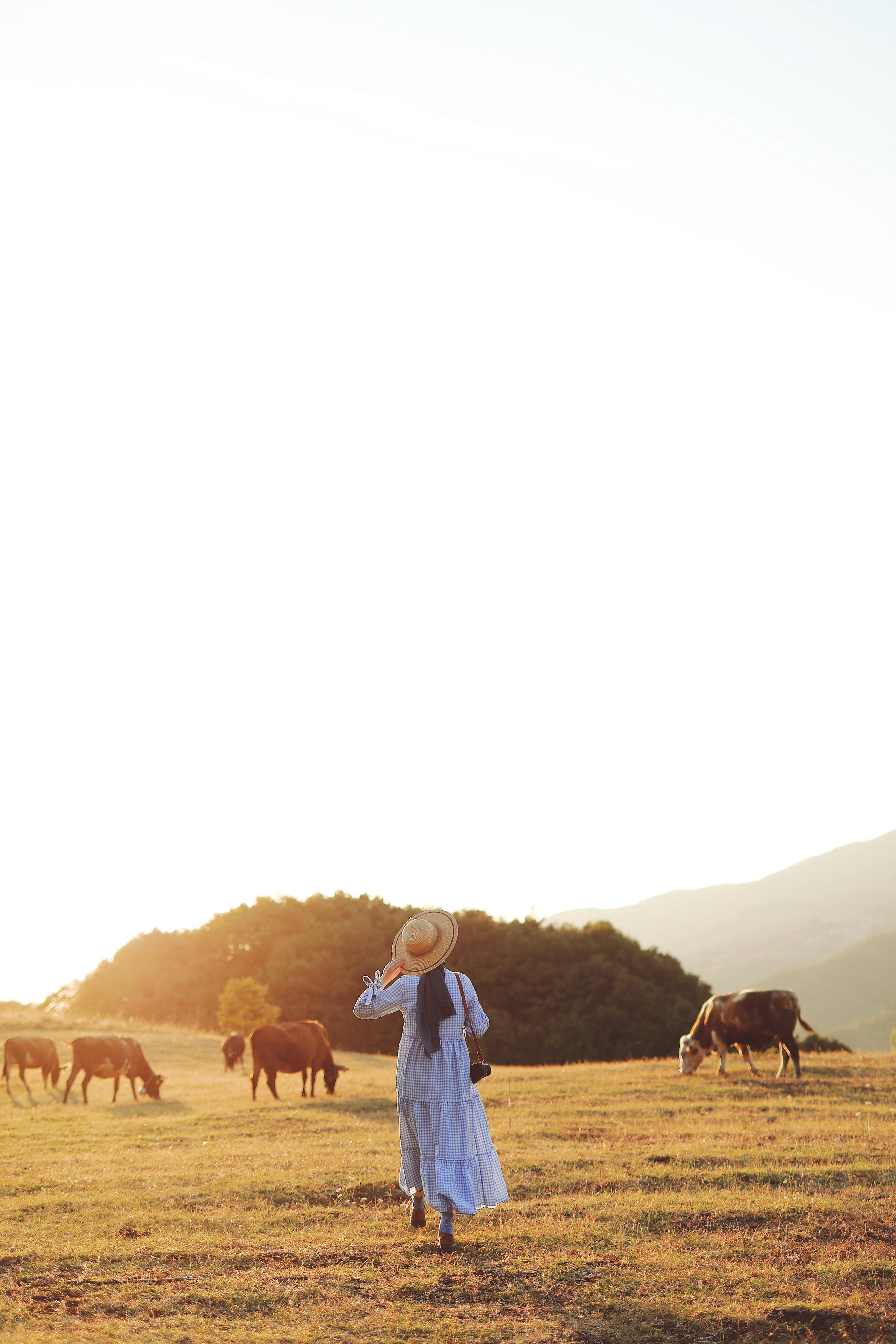 People Walking along the Path on the Field · Free Stock Photo