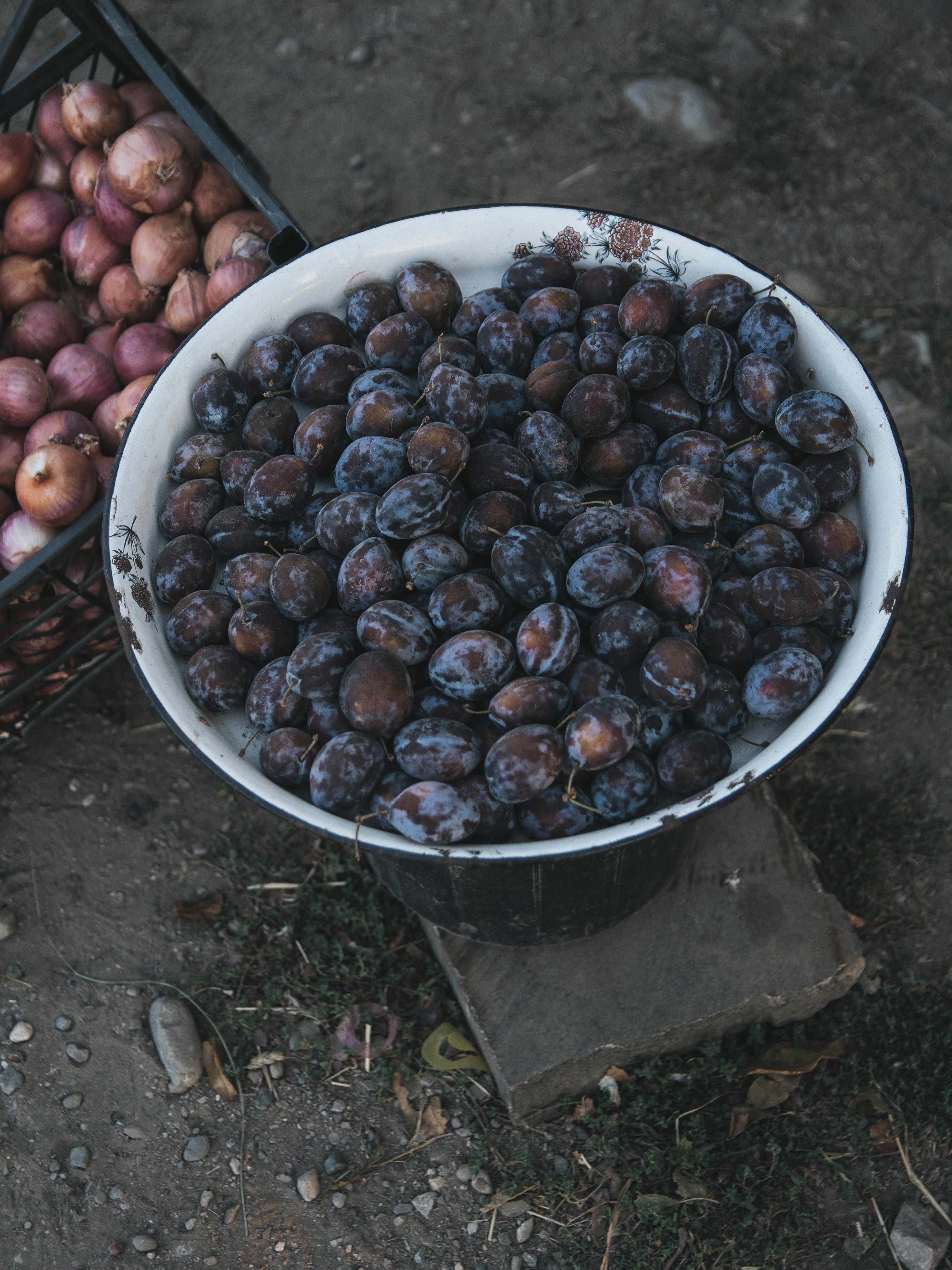 Plum Fruits in a Bucket · Free Stock Photo