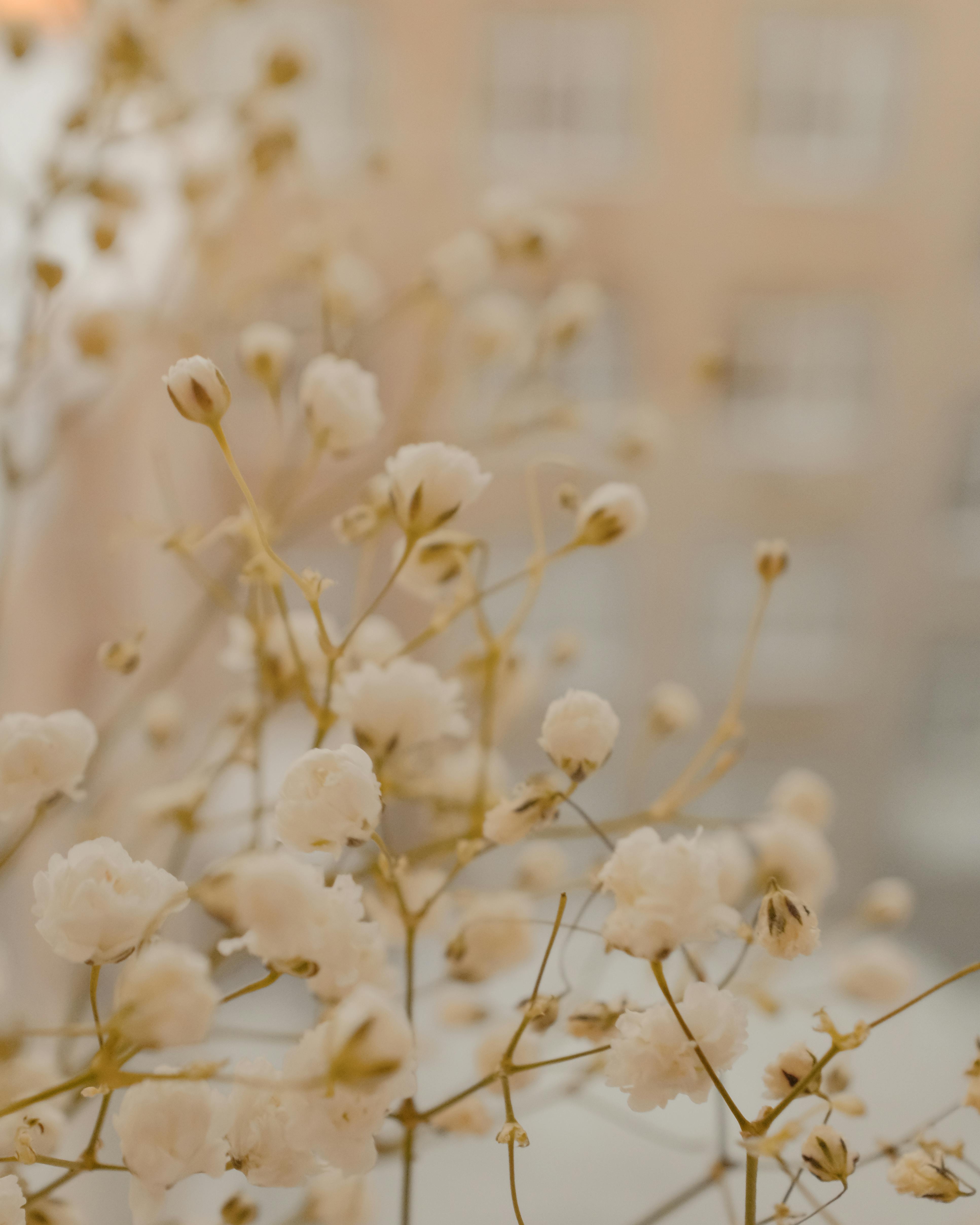 Small White Papers · Free Stock Photo