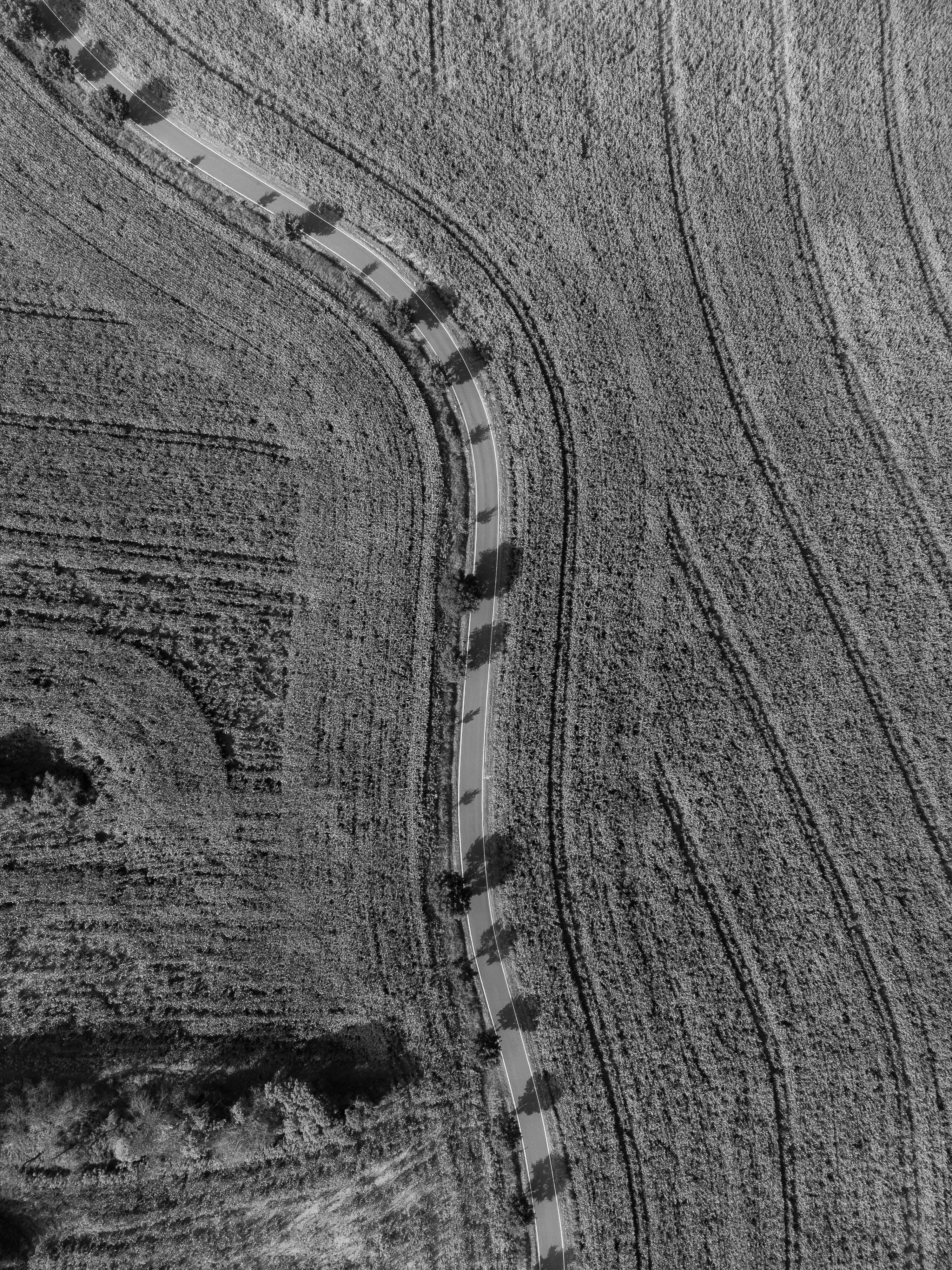 80,000+ Best Road Texture Photos · 100% Free Download · Pexels Stock Photos