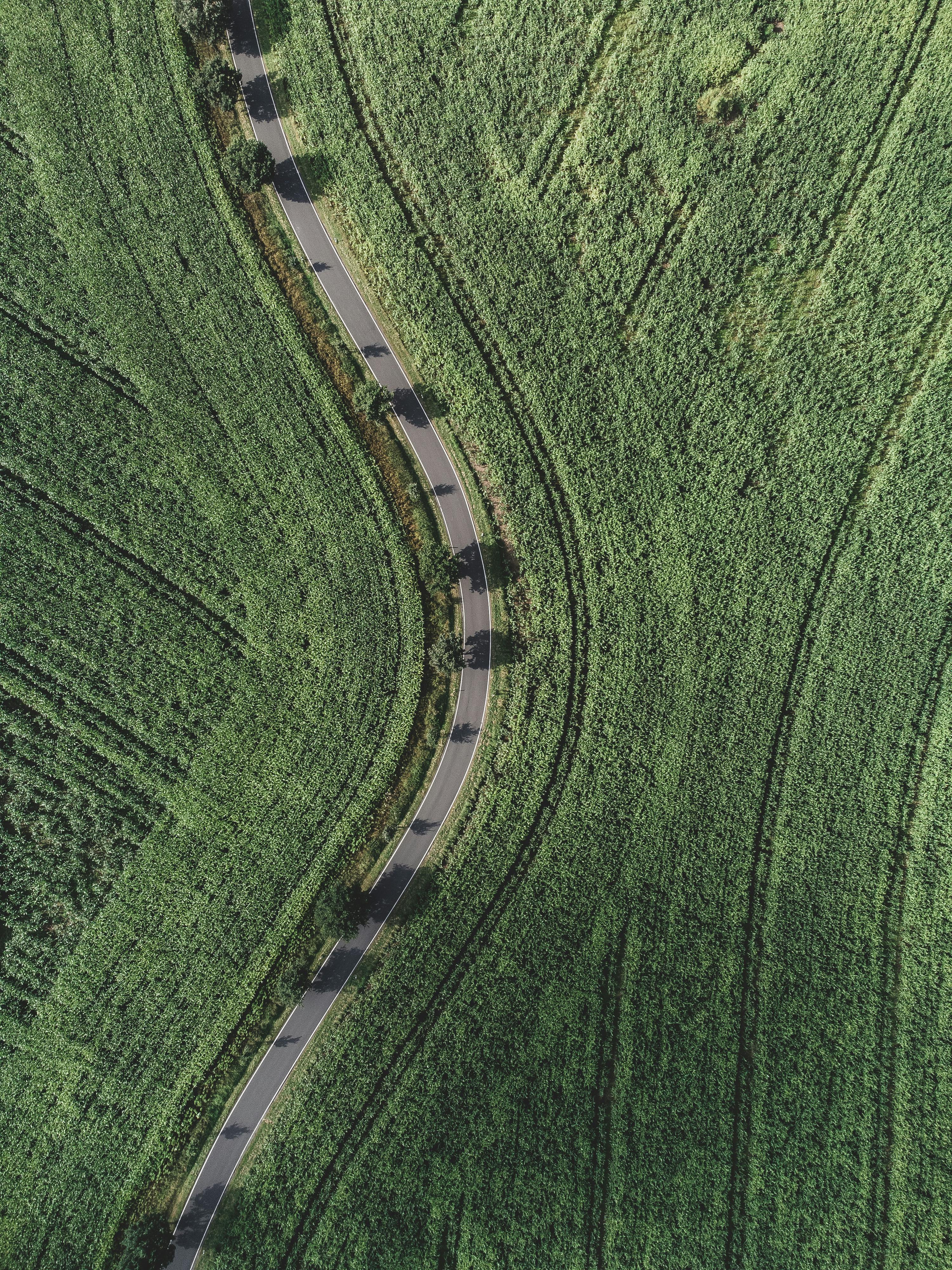 80,000+ Best Road Texture Photos · 100% Free Download · Pexels Stock Photos