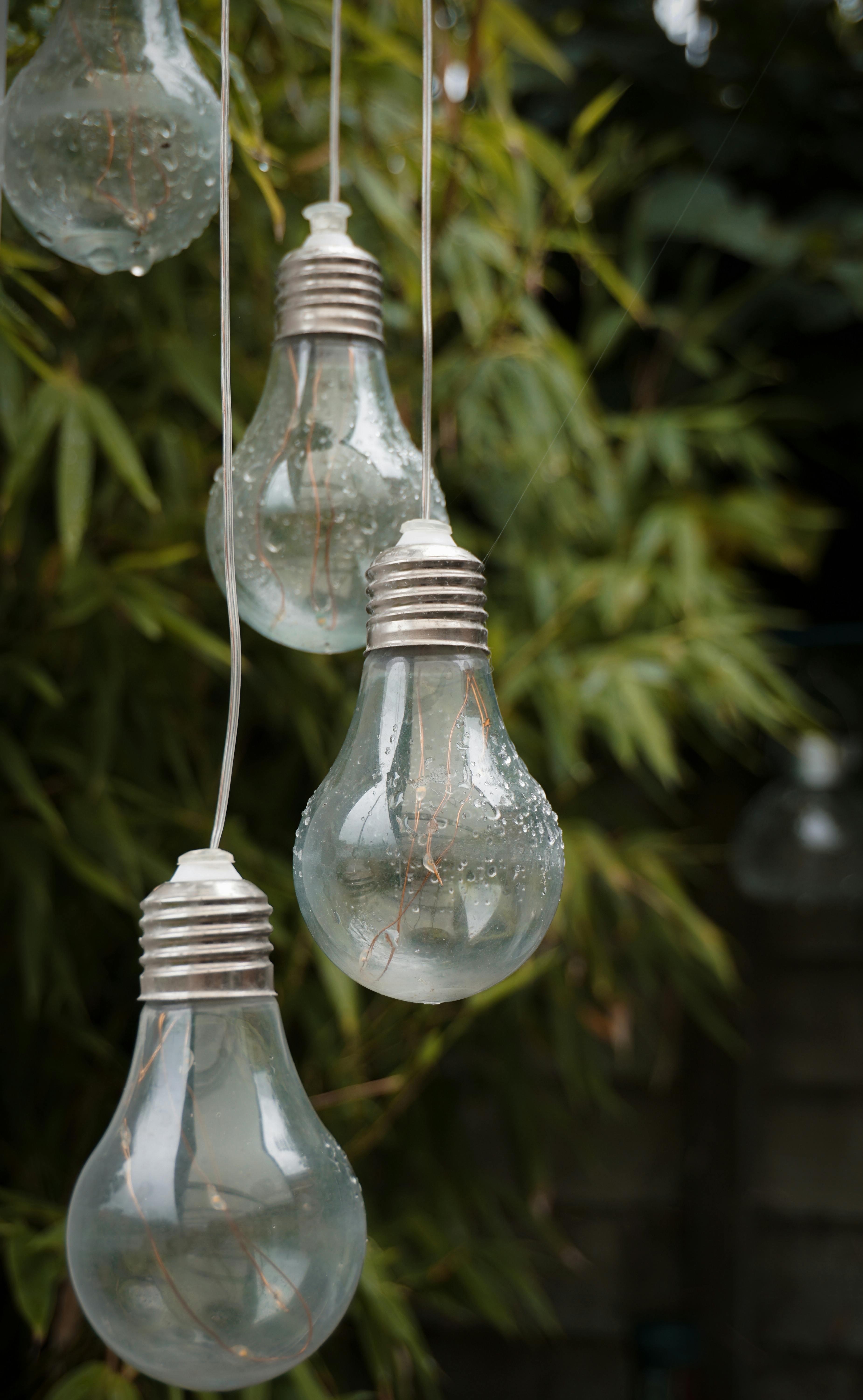 Clear Glass Light Bulbs in Tilt Shift Lens · Free Stock Photo