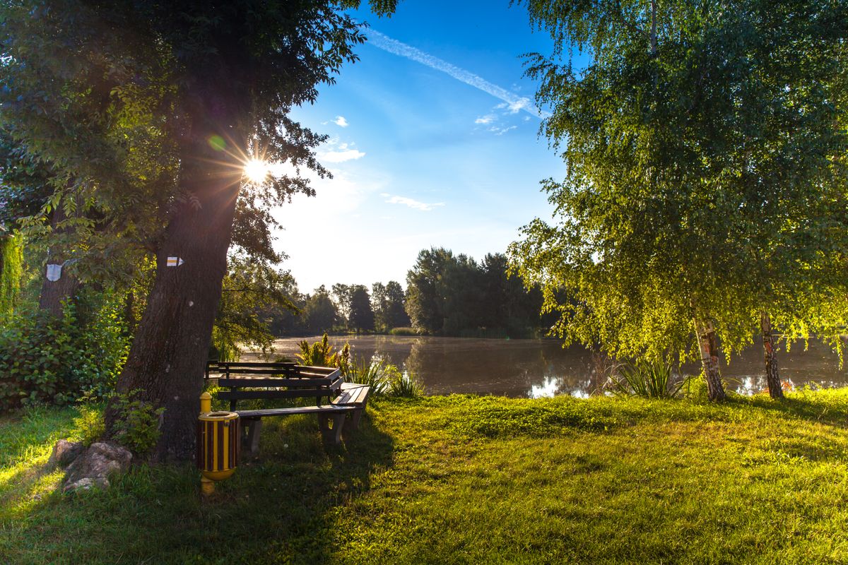 Morning Sun Photos, Download The BEST Free Morning Sun Stock Photos ...