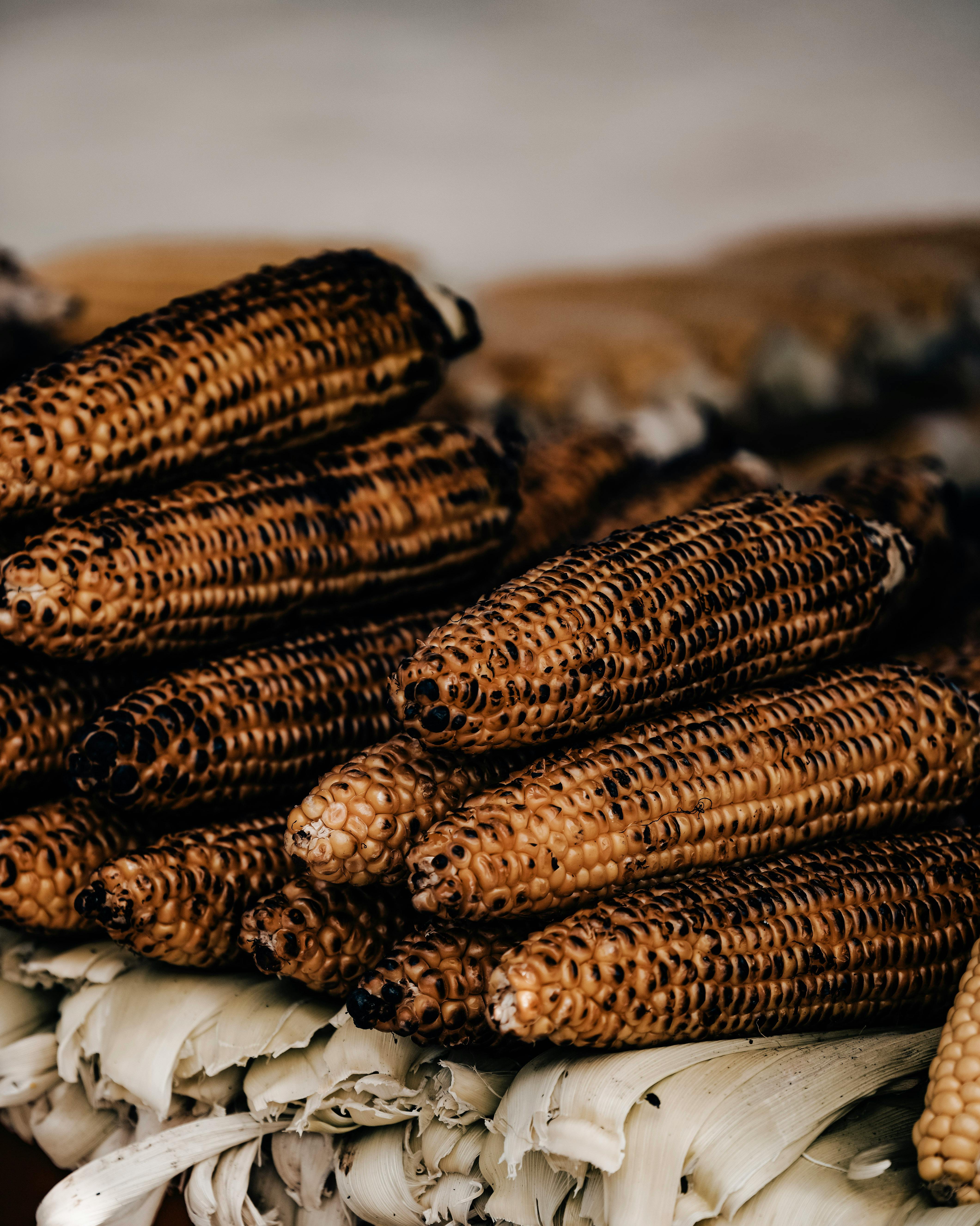 A Delicious Stack of Roasted Corn on Cobs · Free Stock Photo