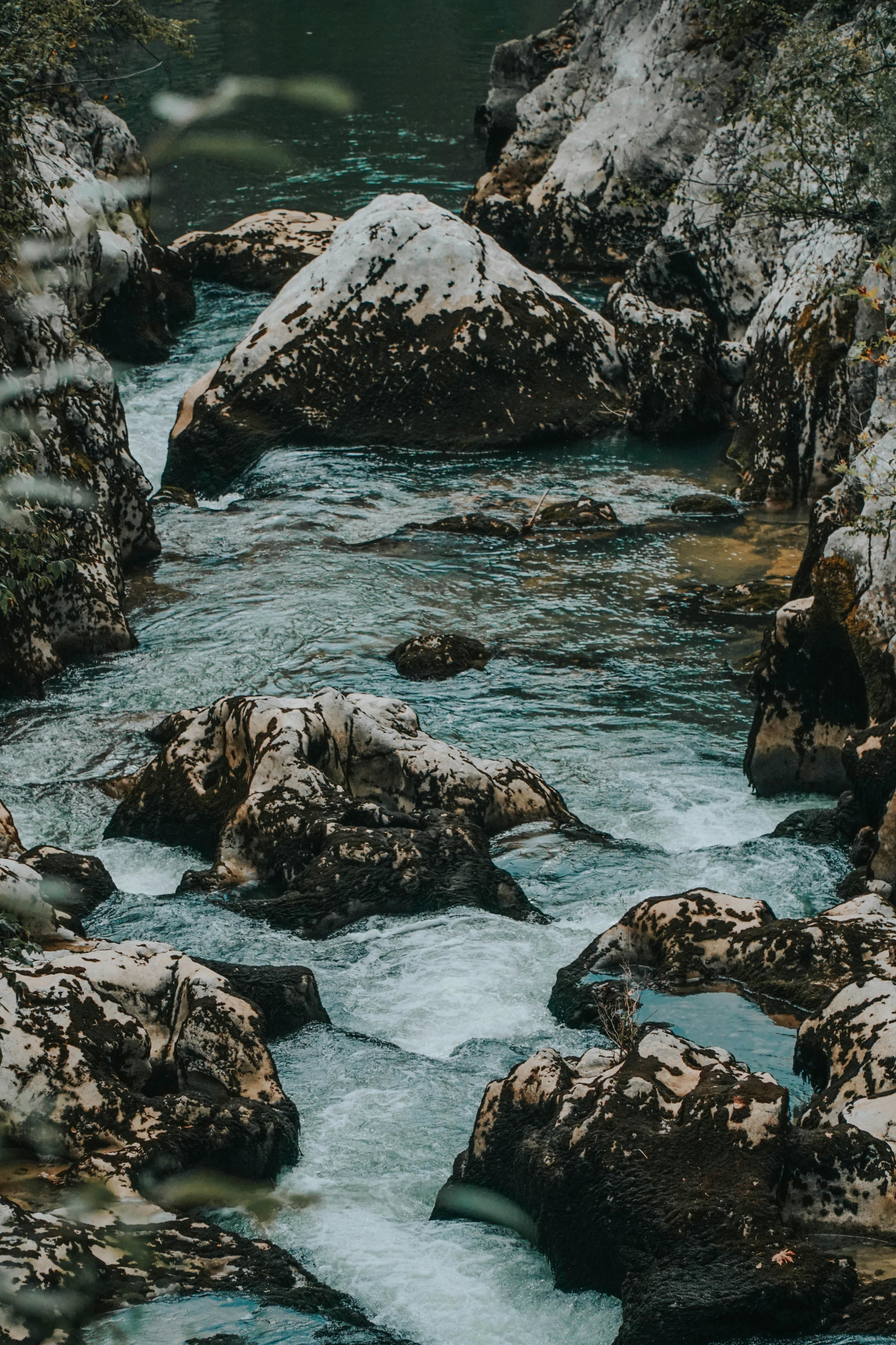 Creek with Rocks in the Forest · Free Stock Photo