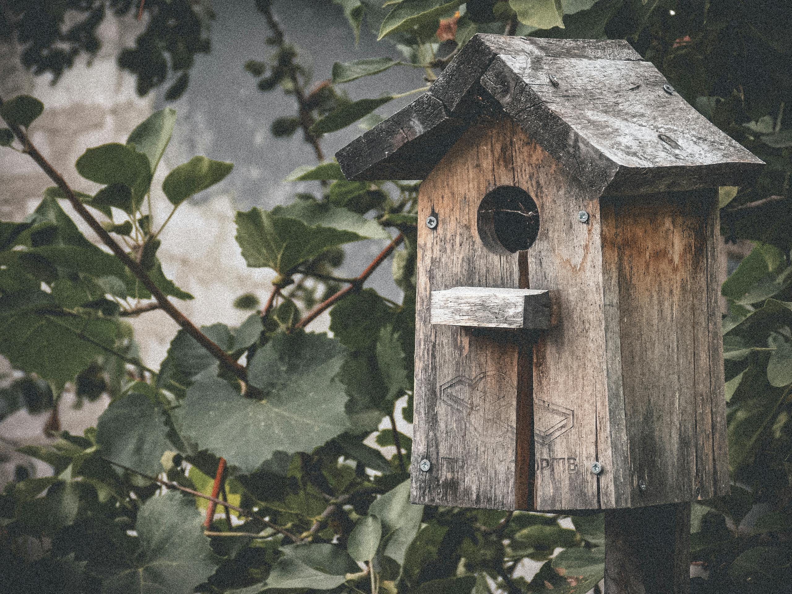 White Birdhouse · Free Stock Photo