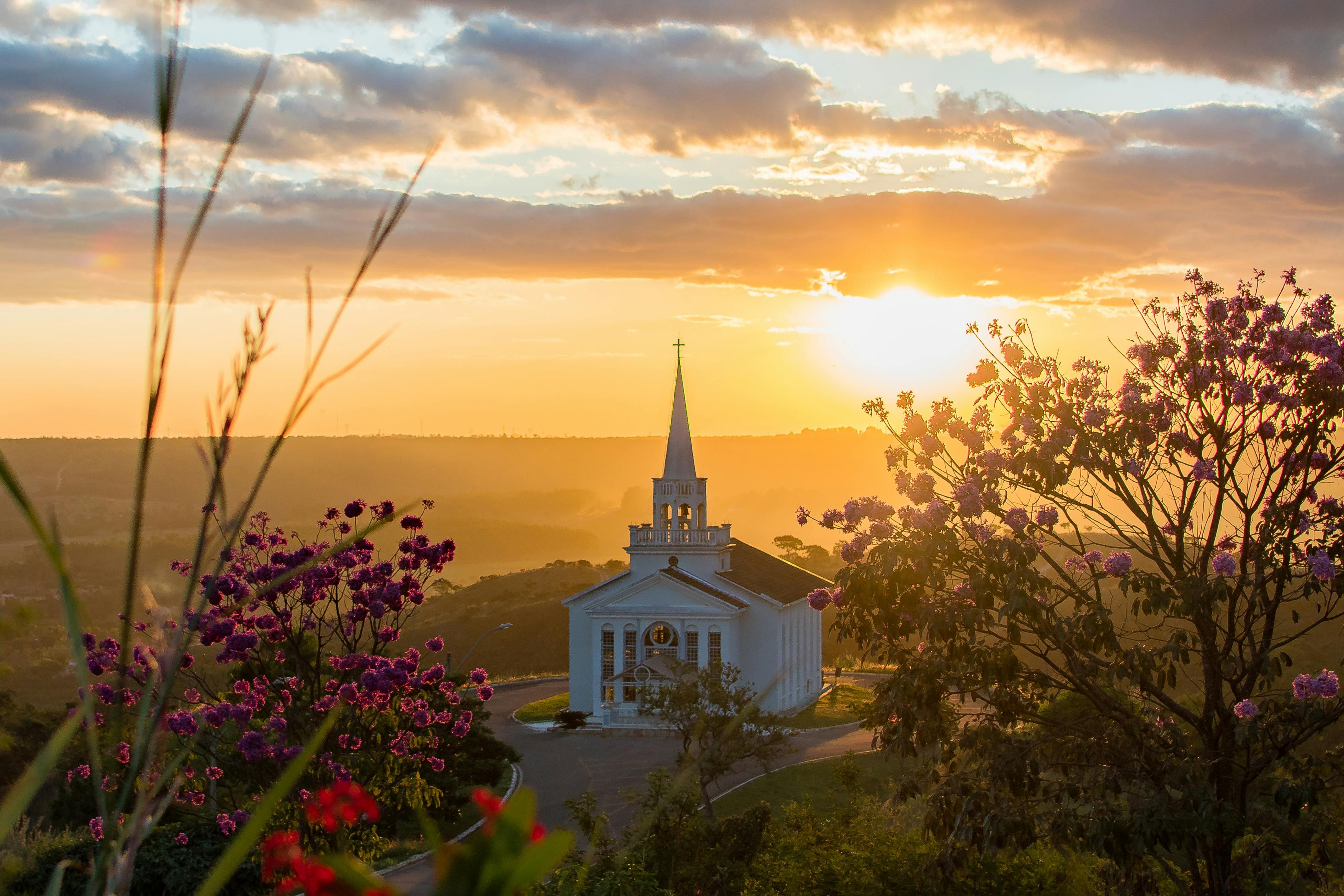 20,000+ Best Catholic Church Photos · 100% Free Download · Pexels Stock ...