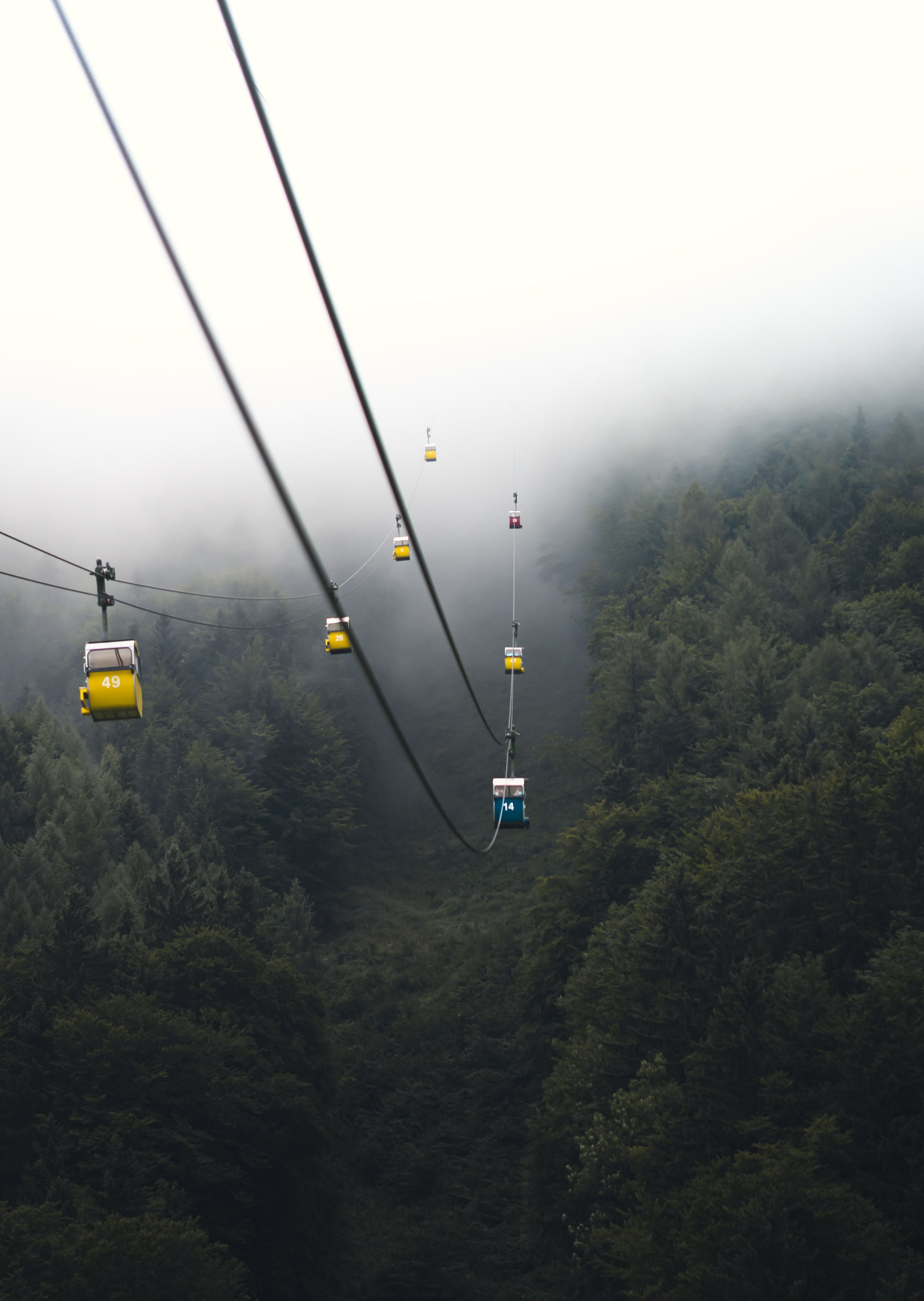 Cable Cars over Green Trees Covered With Fog · Free Stock Photo