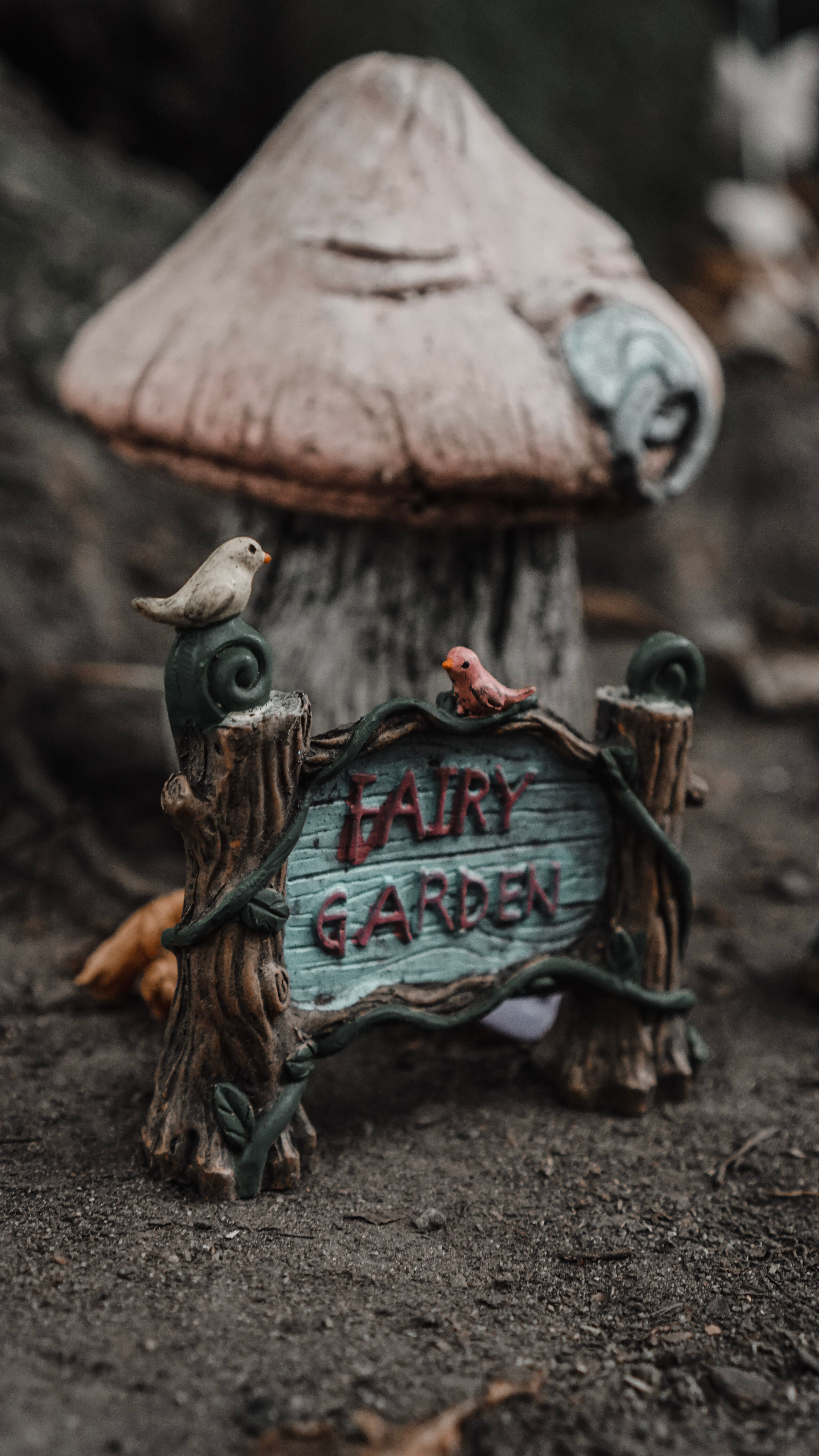 Fairy Garden Photos, Download The BEST Free Fairy Garden Stock Photos ...