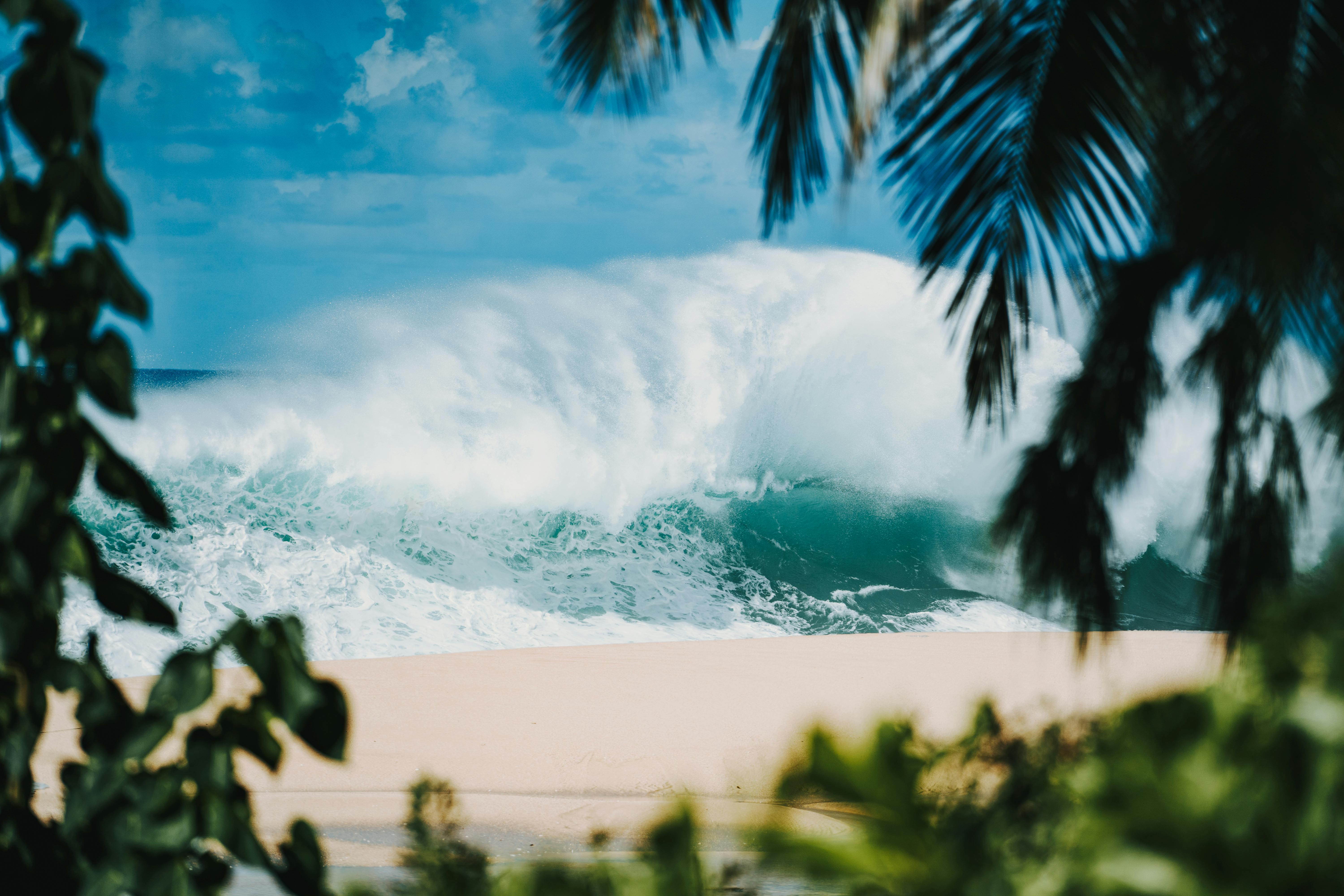 Seashore · Free Stock Photo