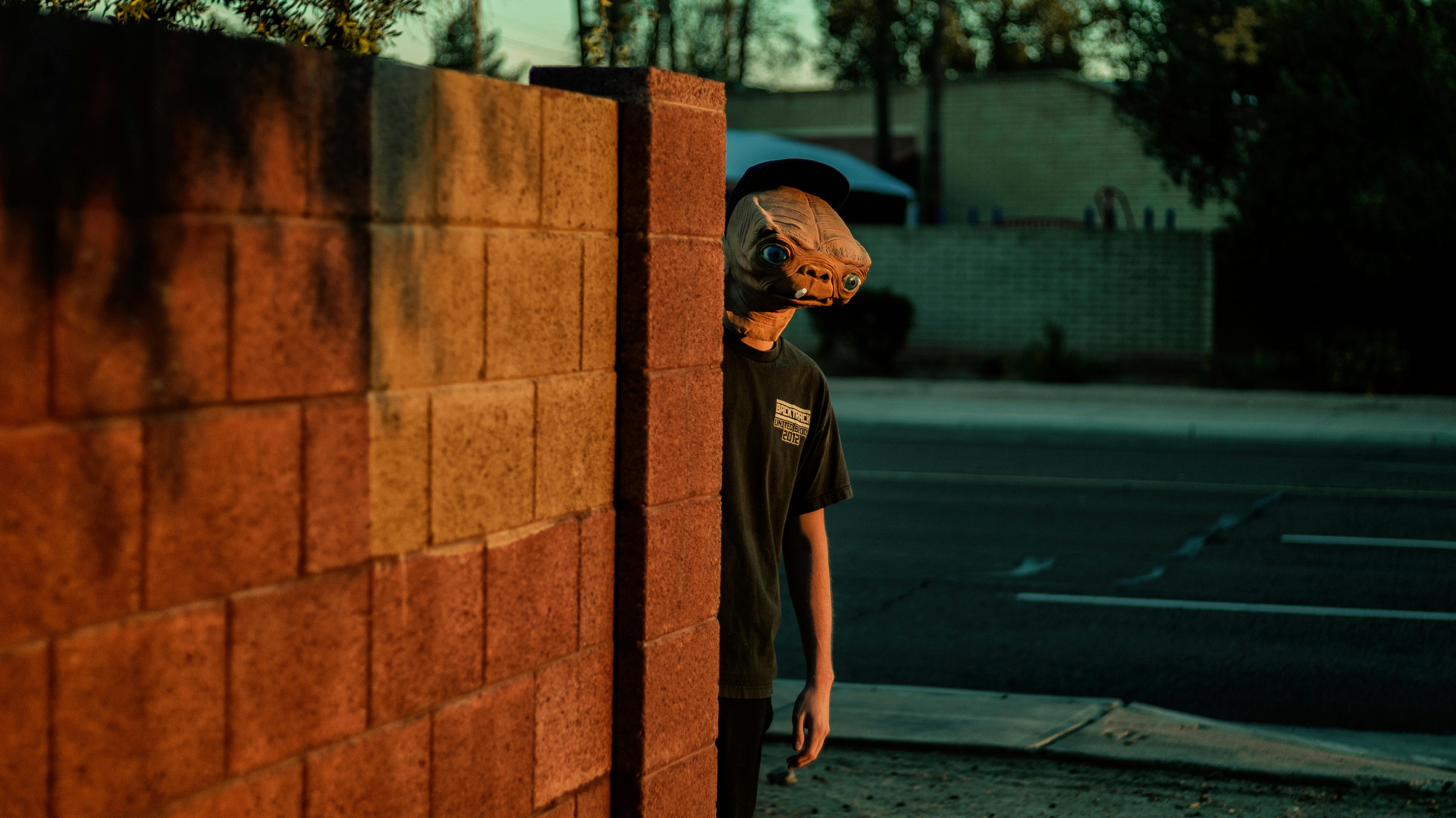 Peculiars Photos, Download The BEST Free Peculiars Stock Photos & HD Images