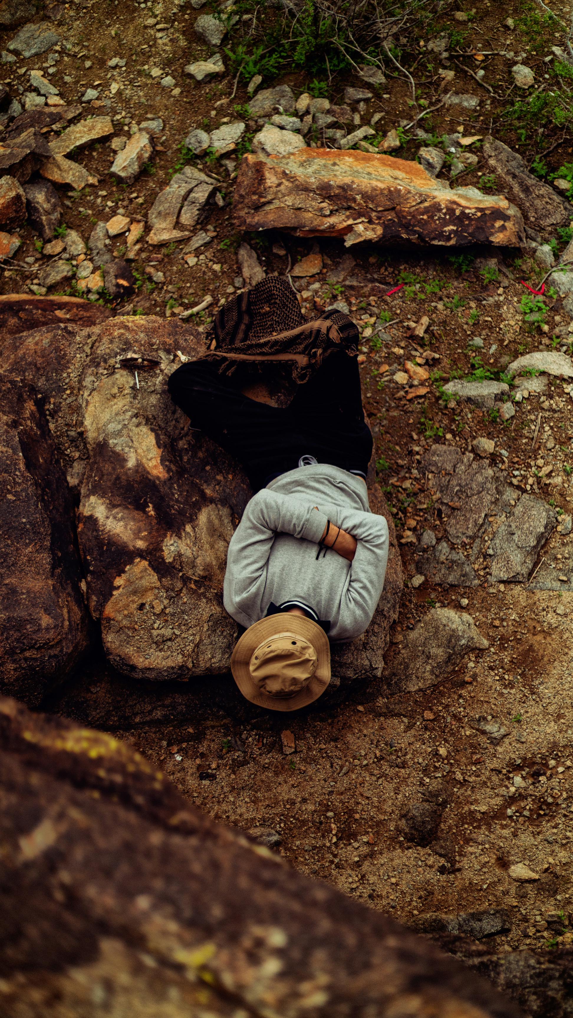 Forest Sleep Photos, Download The BEST Free Forest Sleep Stock Photos ...