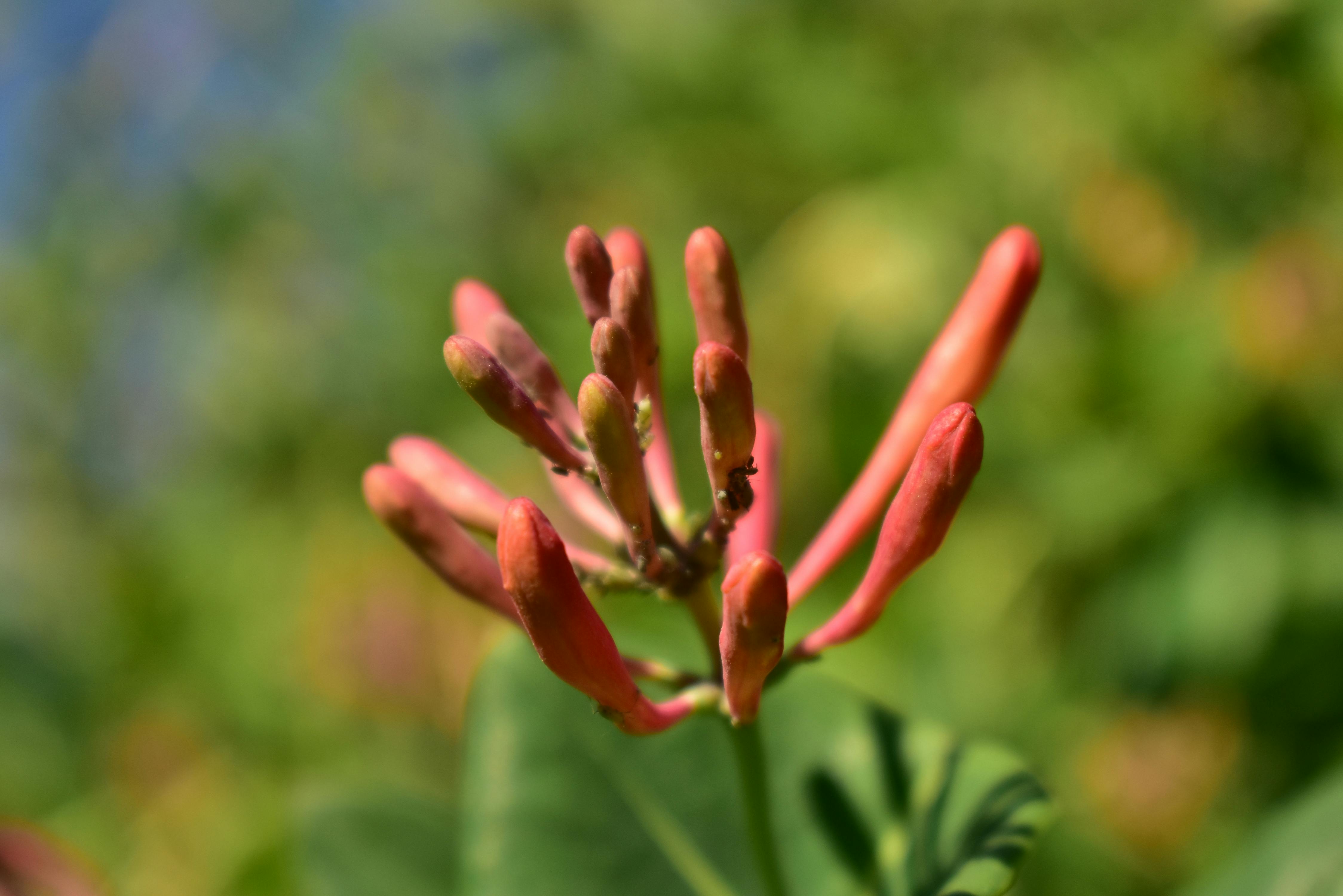 Wendy Maxwell – Fotografie