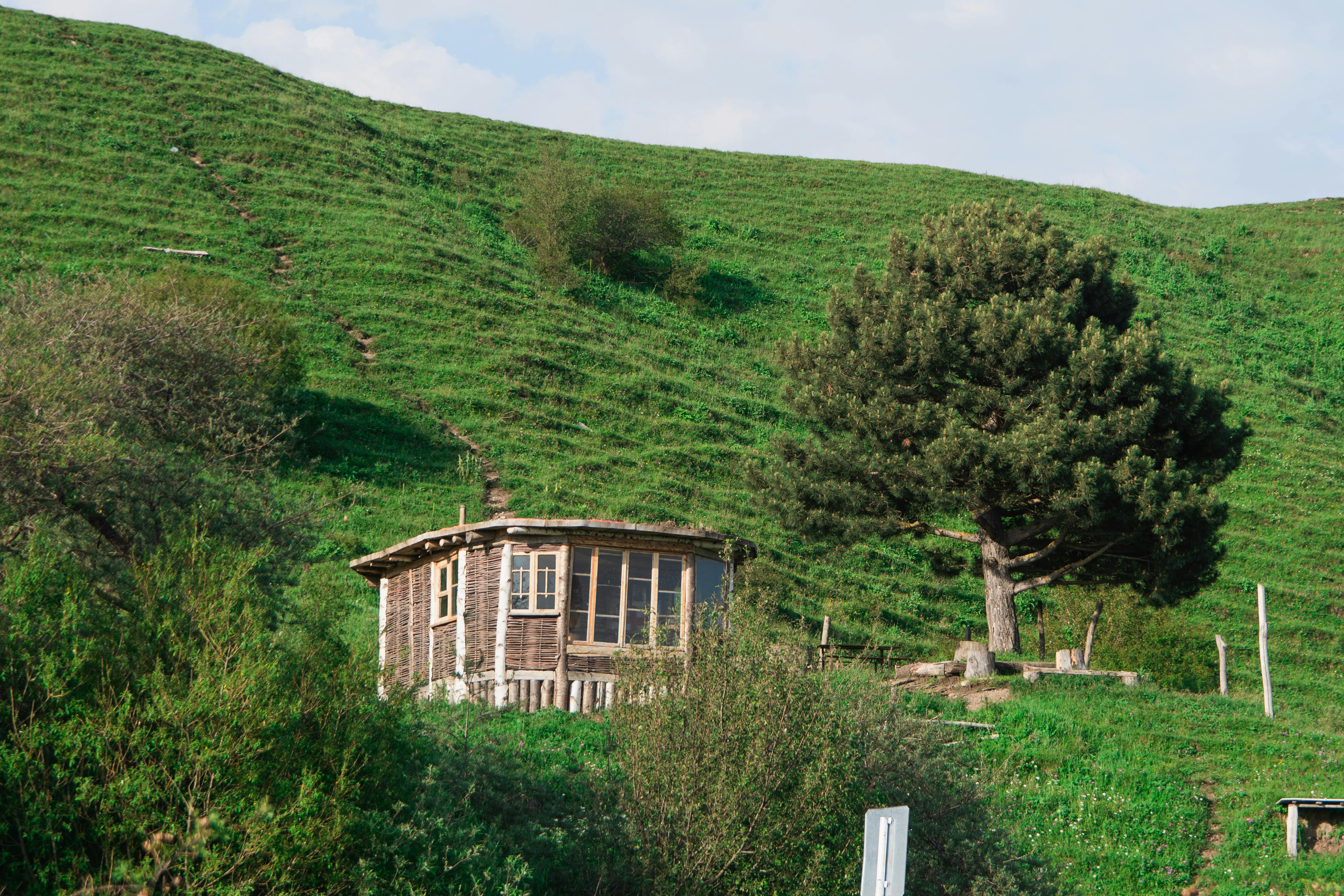 Photograph of a Building Near a Tree · Free Stock Photo