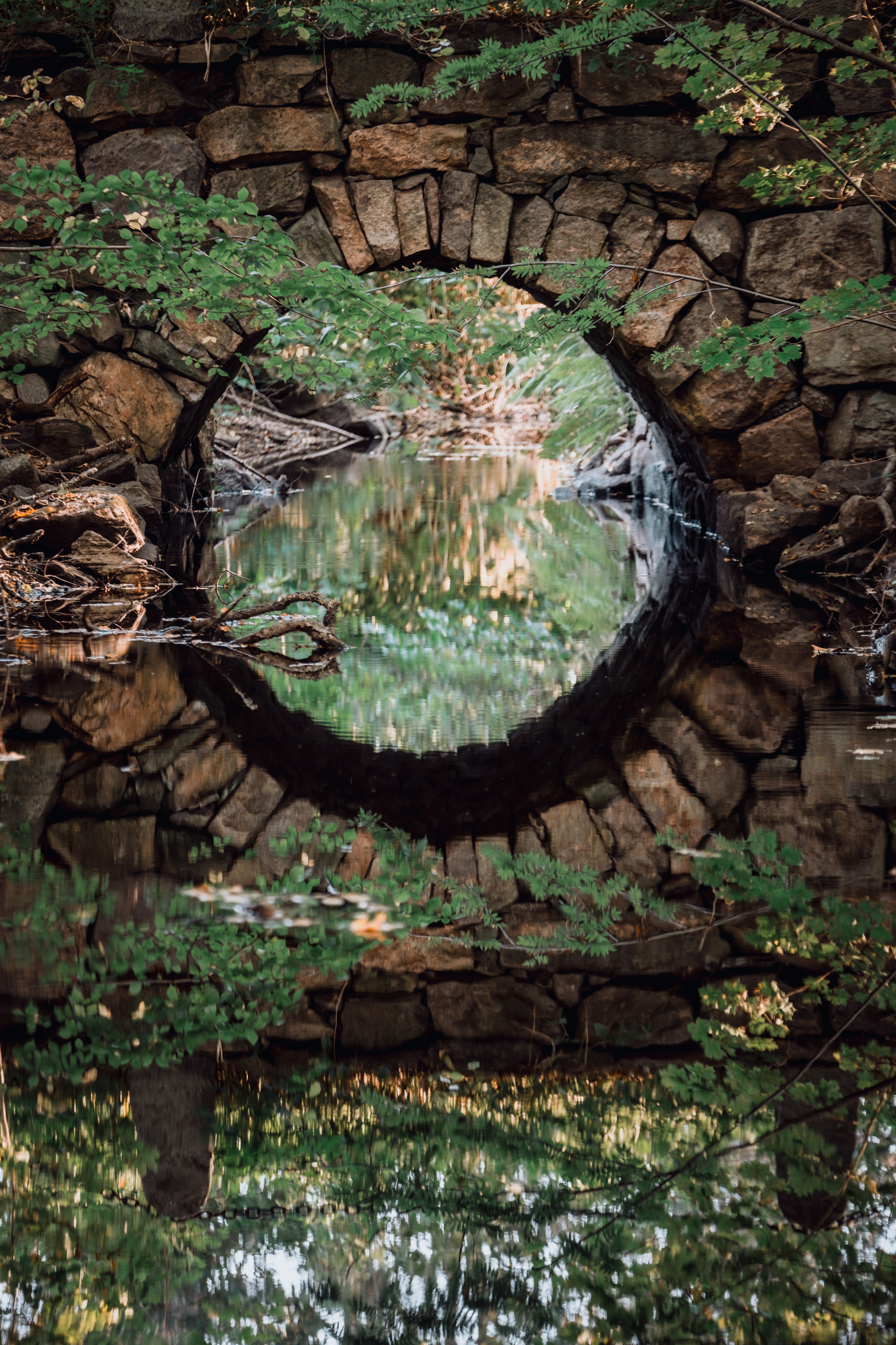Small Old Arch Bridge Reflecting in the Water · Free Stock Photo