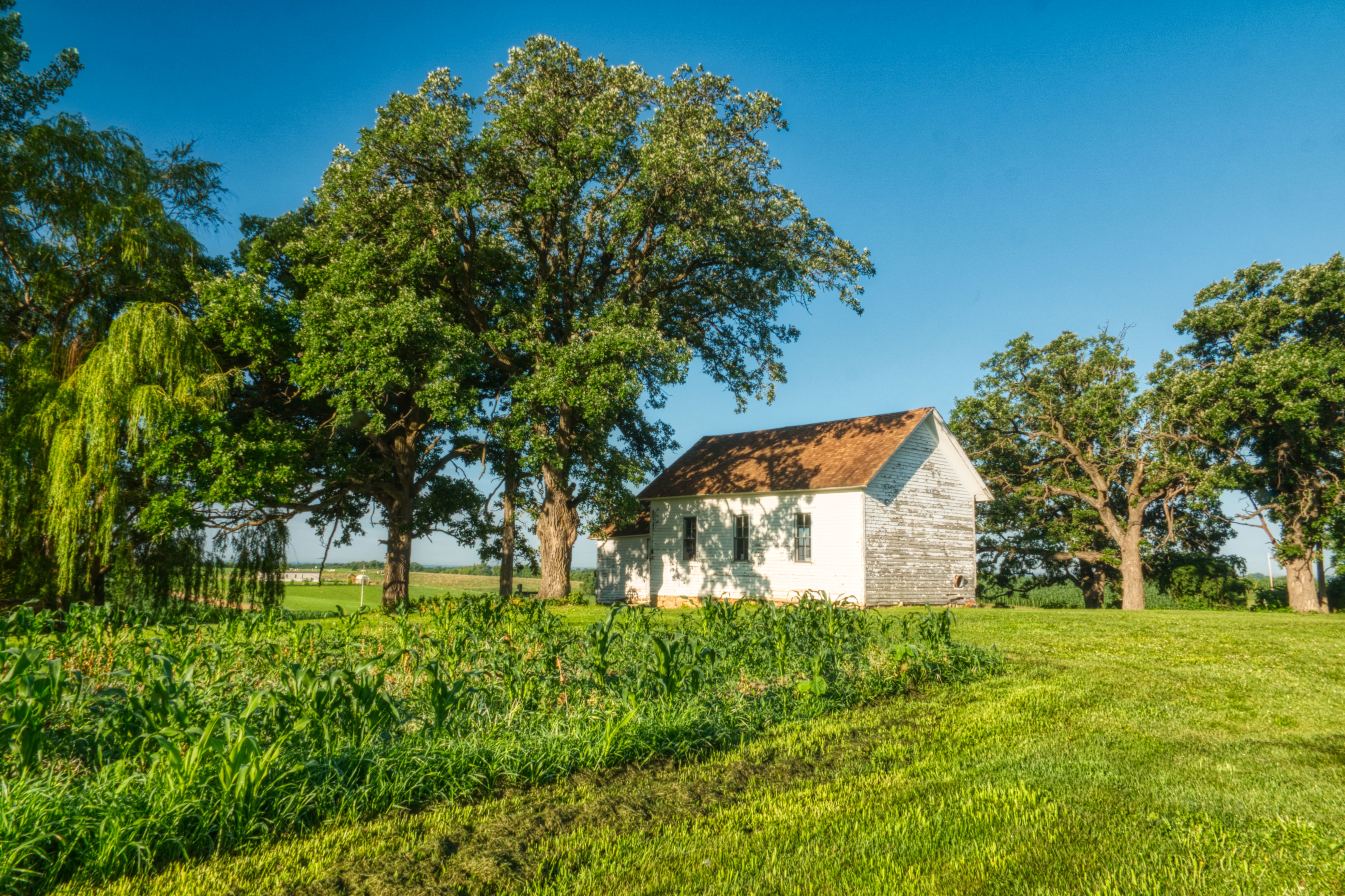 White Wooden House near Crops · Free Stock Photo