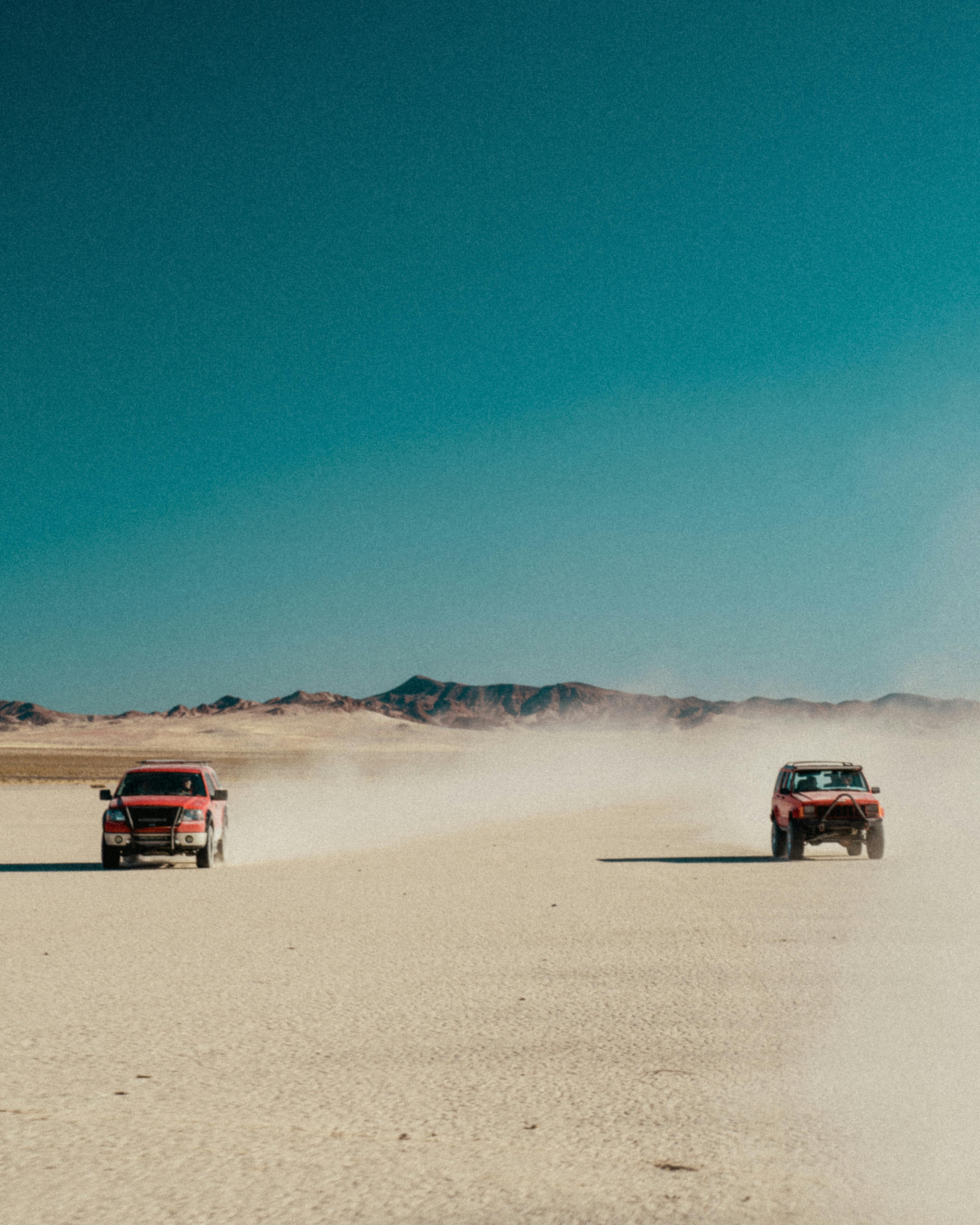 20,000+ Best Adventurous Photos · 100% Free Download · Pexels Stock Photos