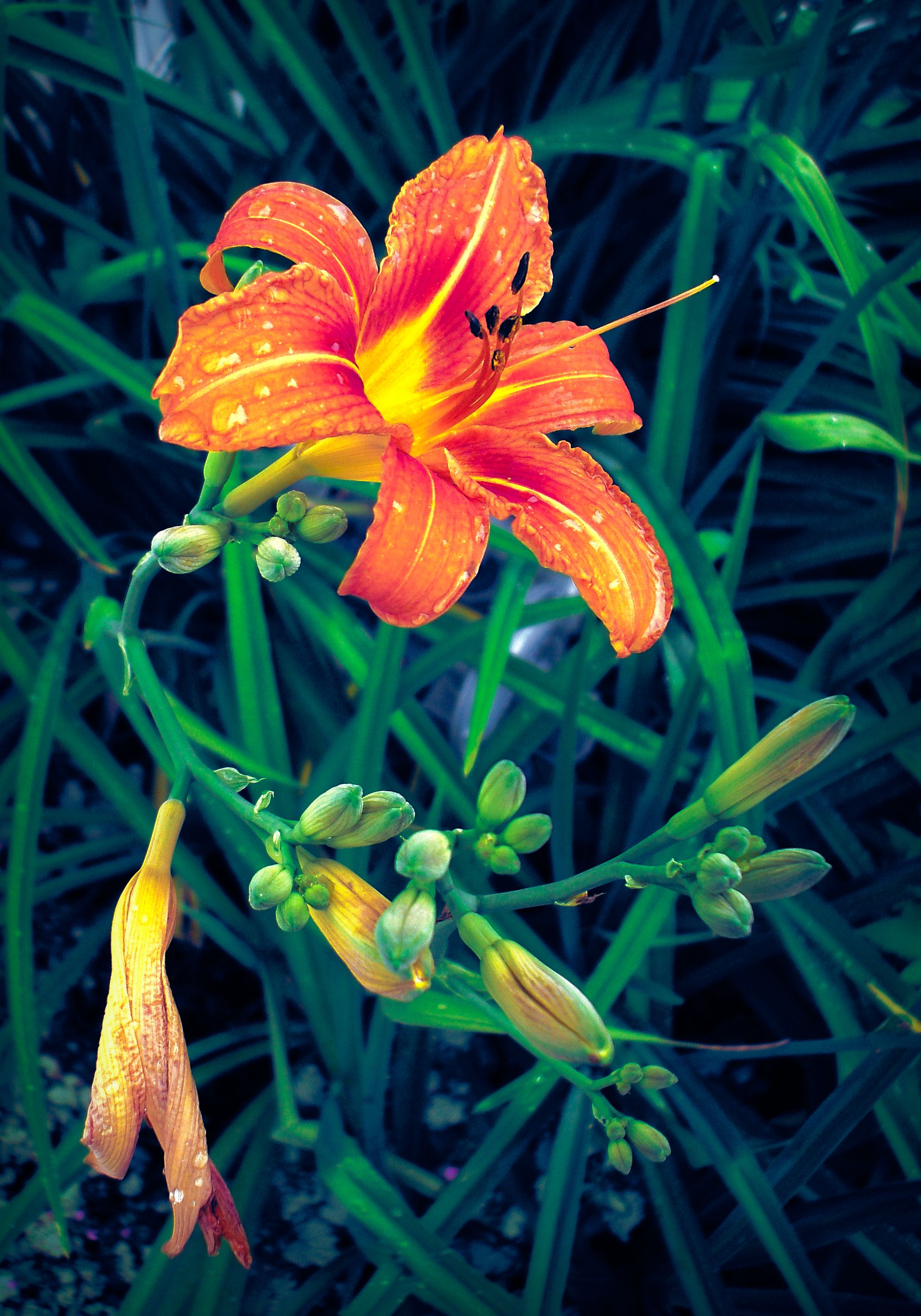 Laura Penwell - Photography