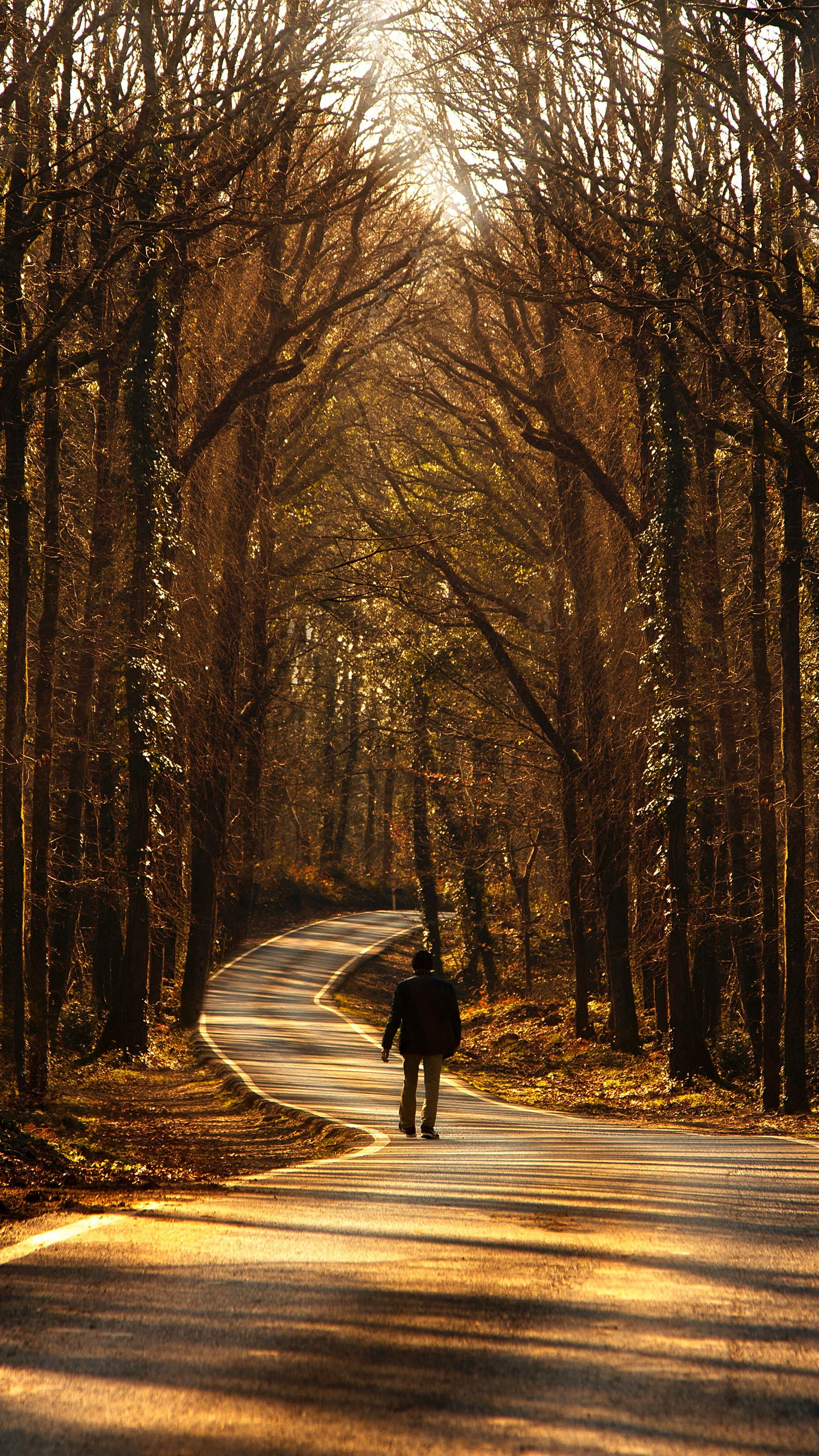 Person Walking on the Road · Free Stock Photo