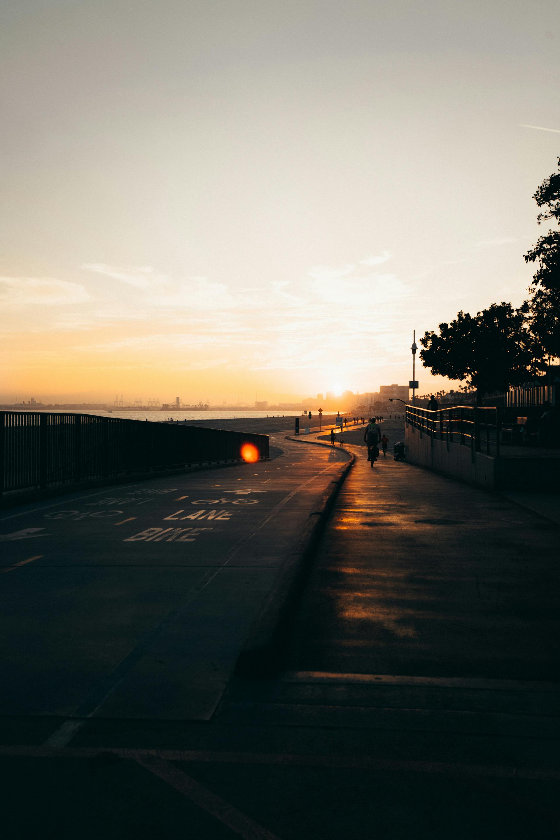Concrete Road Between Trees During Sunset · Free Stock Photo