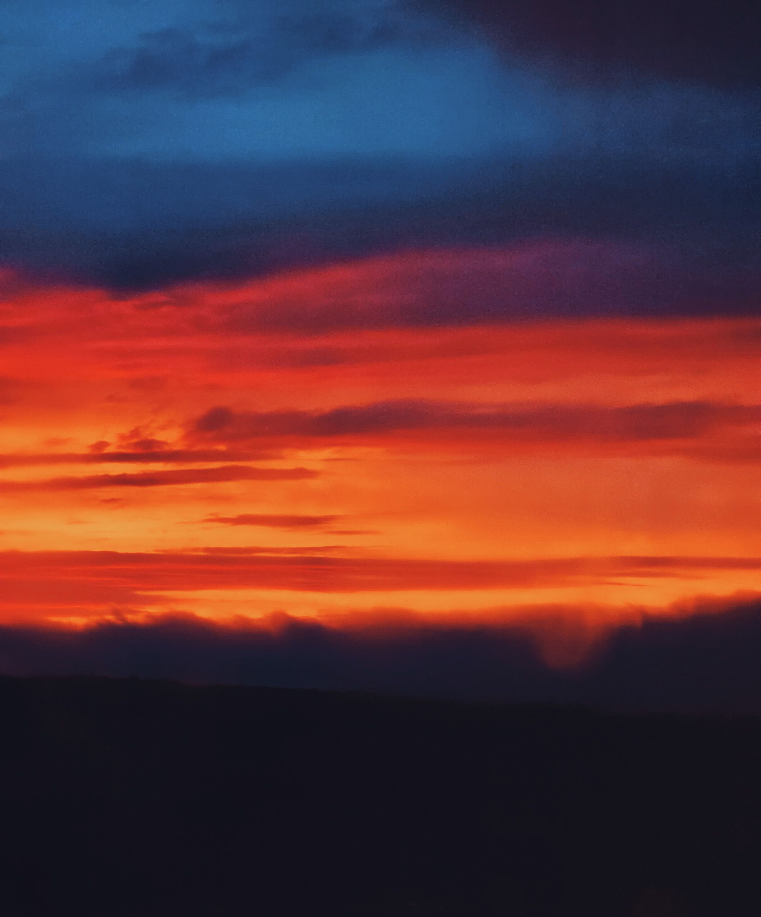 Birds Flying on a Twilight sky · Free Stock Photo