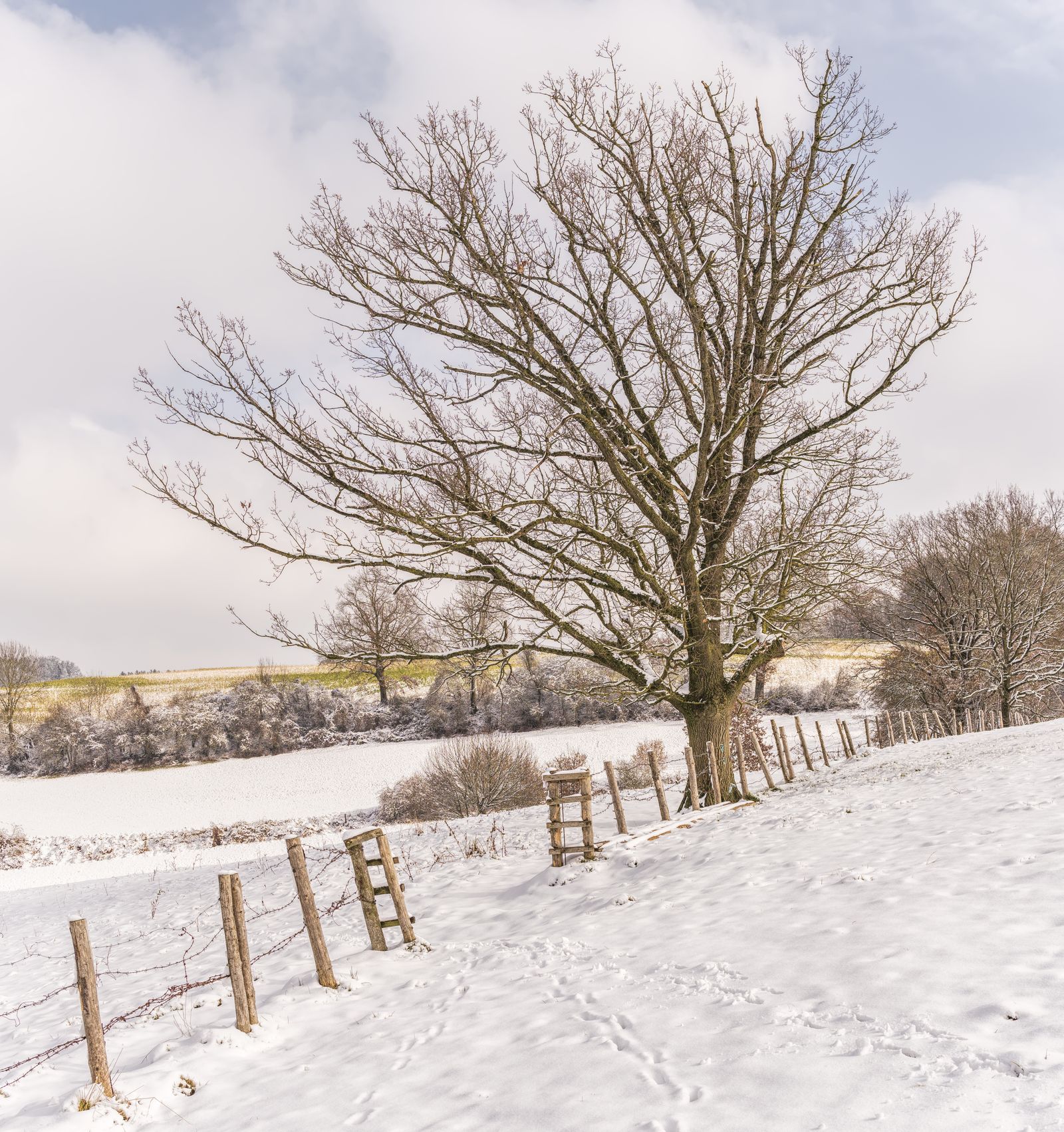 Winter Scenes Photos, Download The BEST Free Winter Scenes Stock Photos ...