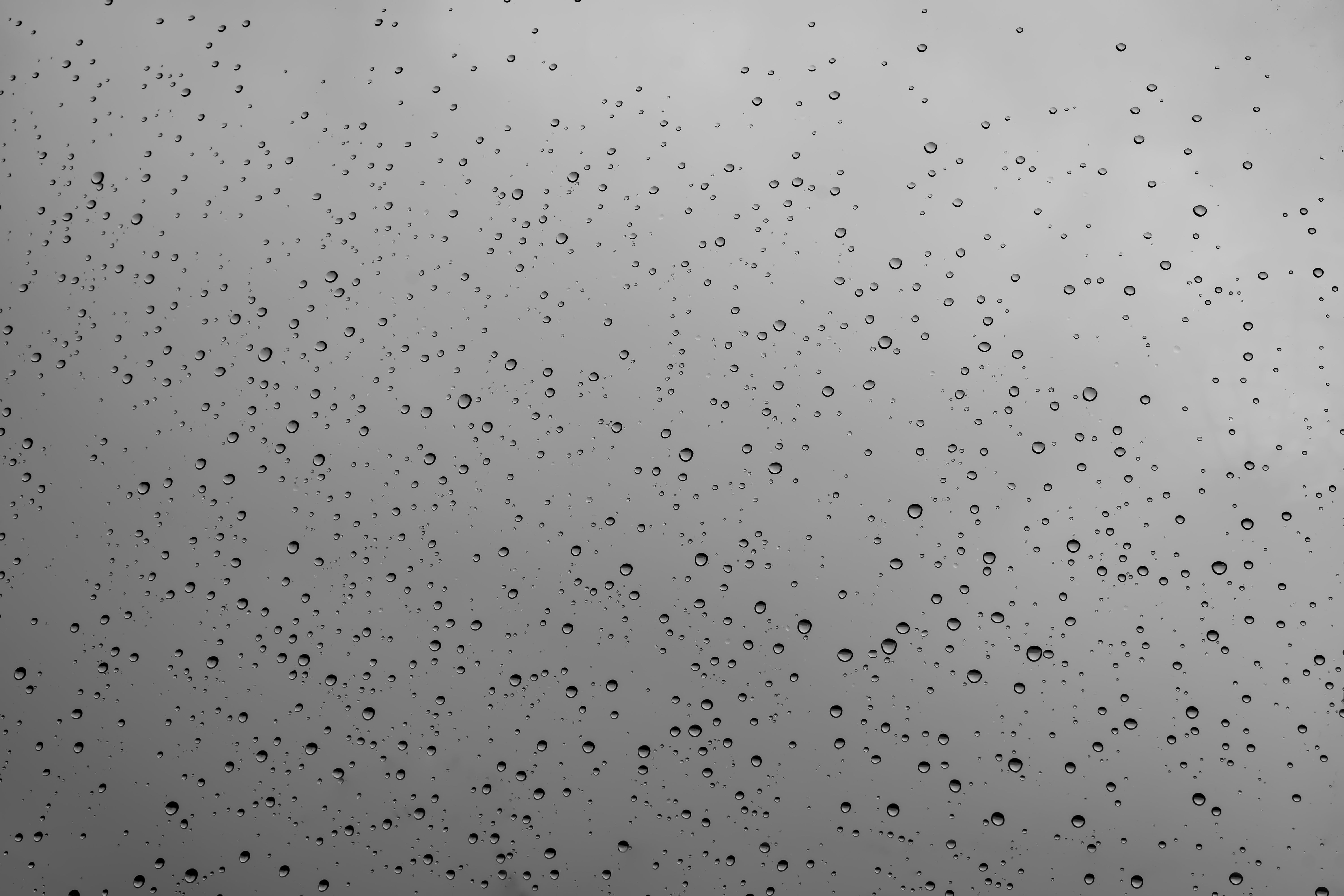 Transparent Photos, Download The BEST Free Transparent Stock Photos ...