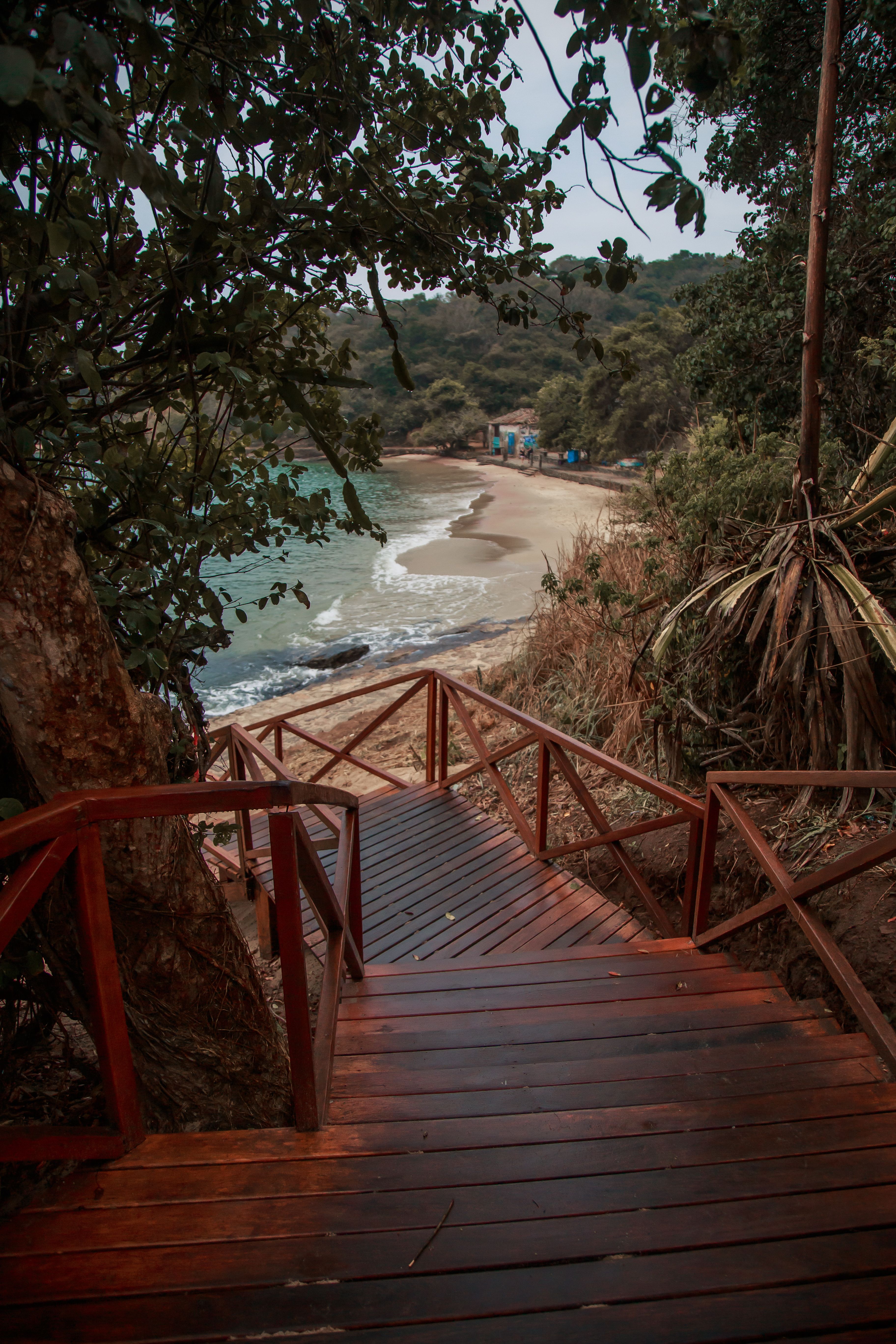 Wooden Stairs Near the Shore · Free Stock Photo