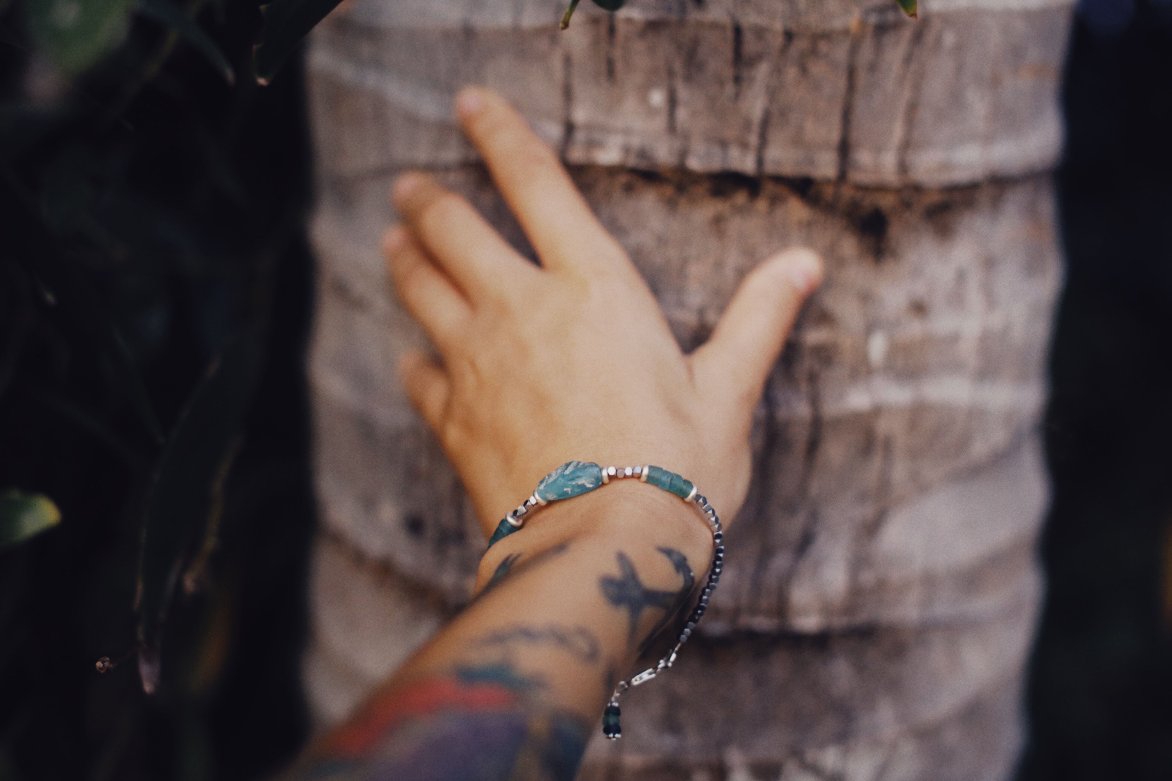 Close-up Photo of a Hand Touching a Tree Trunk · Free Stock Photo